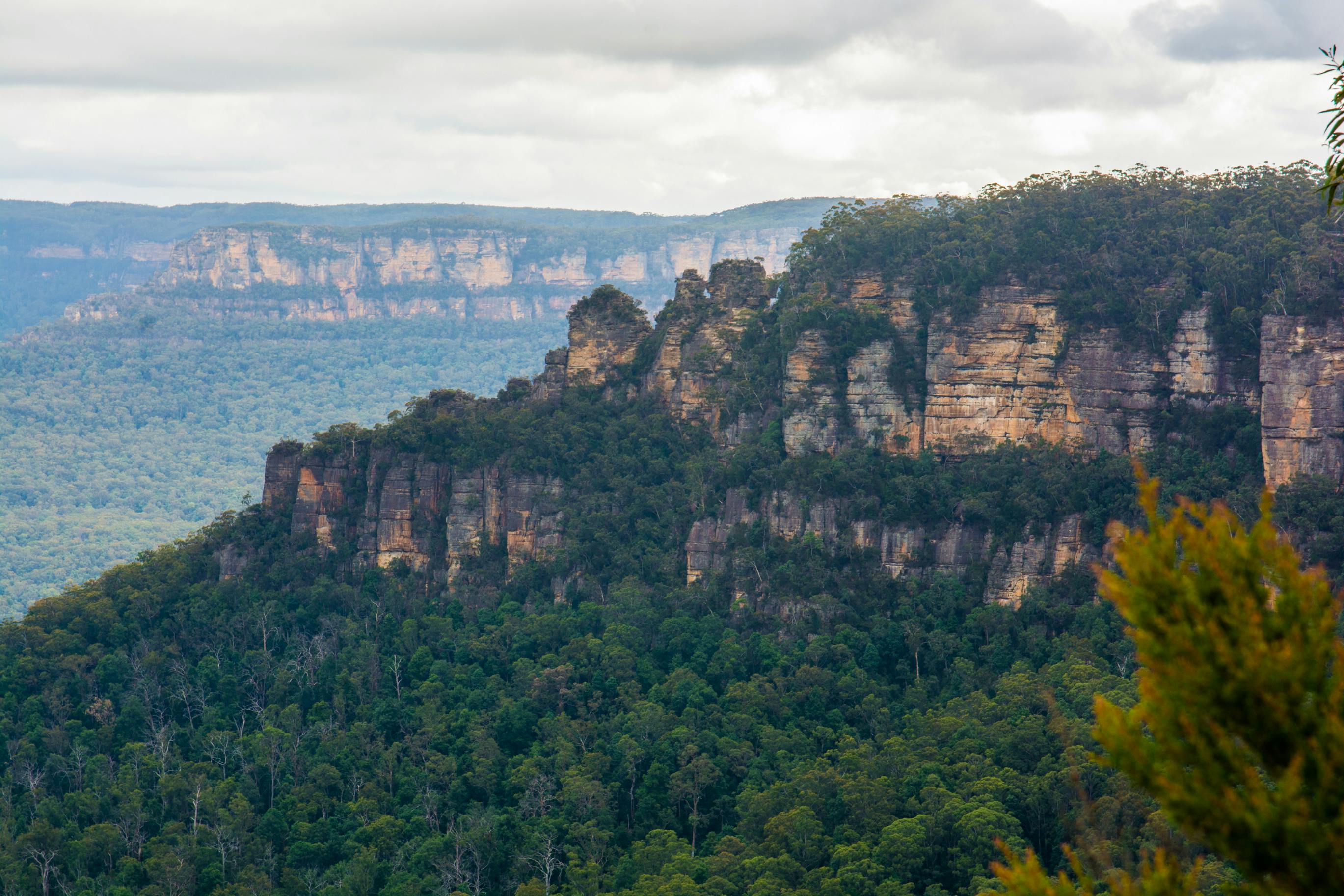 troy carroll - 摄影
