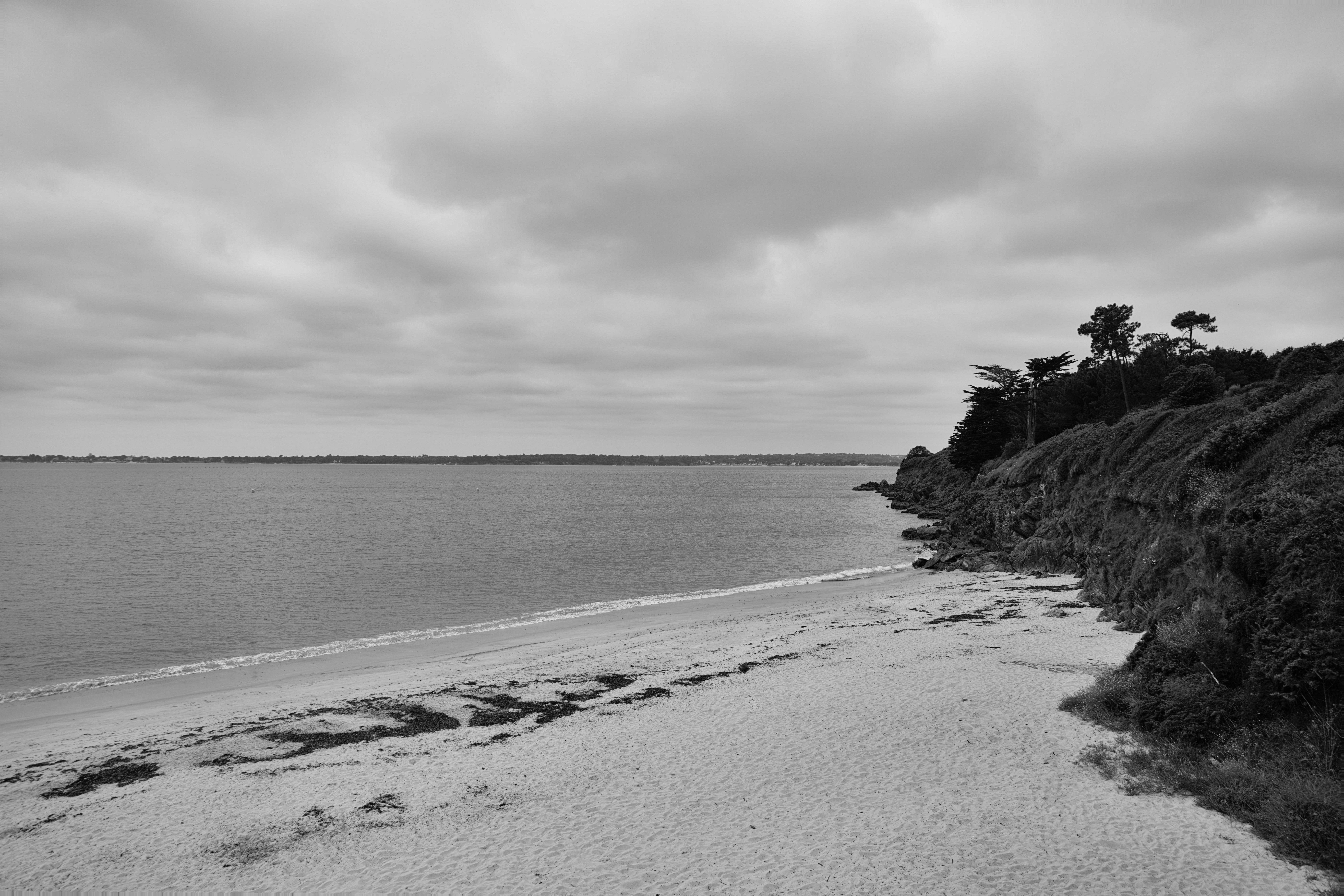 Grayscale Photo of Beach Shore · Free Stock Photo