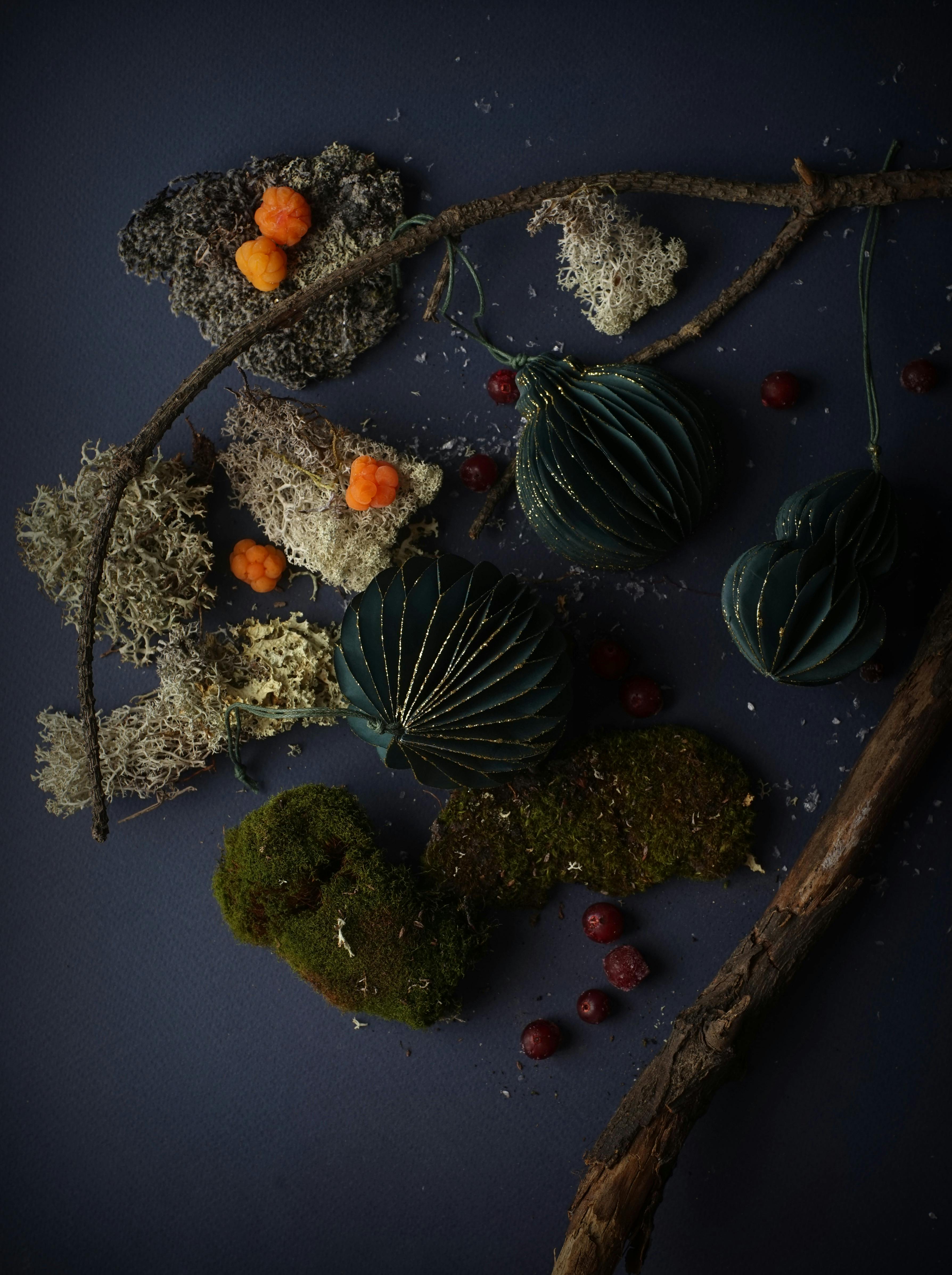 Christmas Studio Background Photos, Download The BEST Free Christmas ...