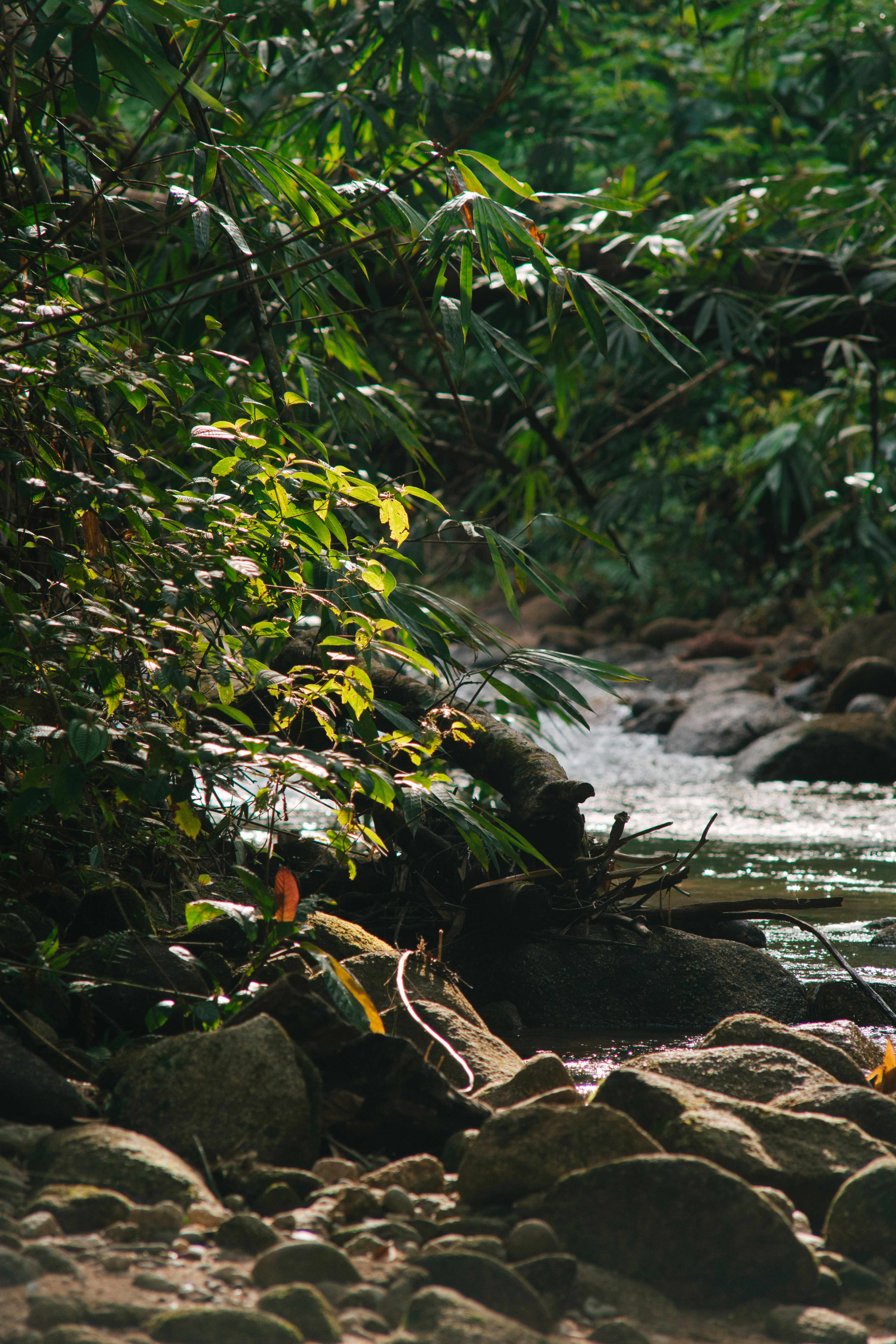 Brown Rocks Near the River · Free Stock Photo