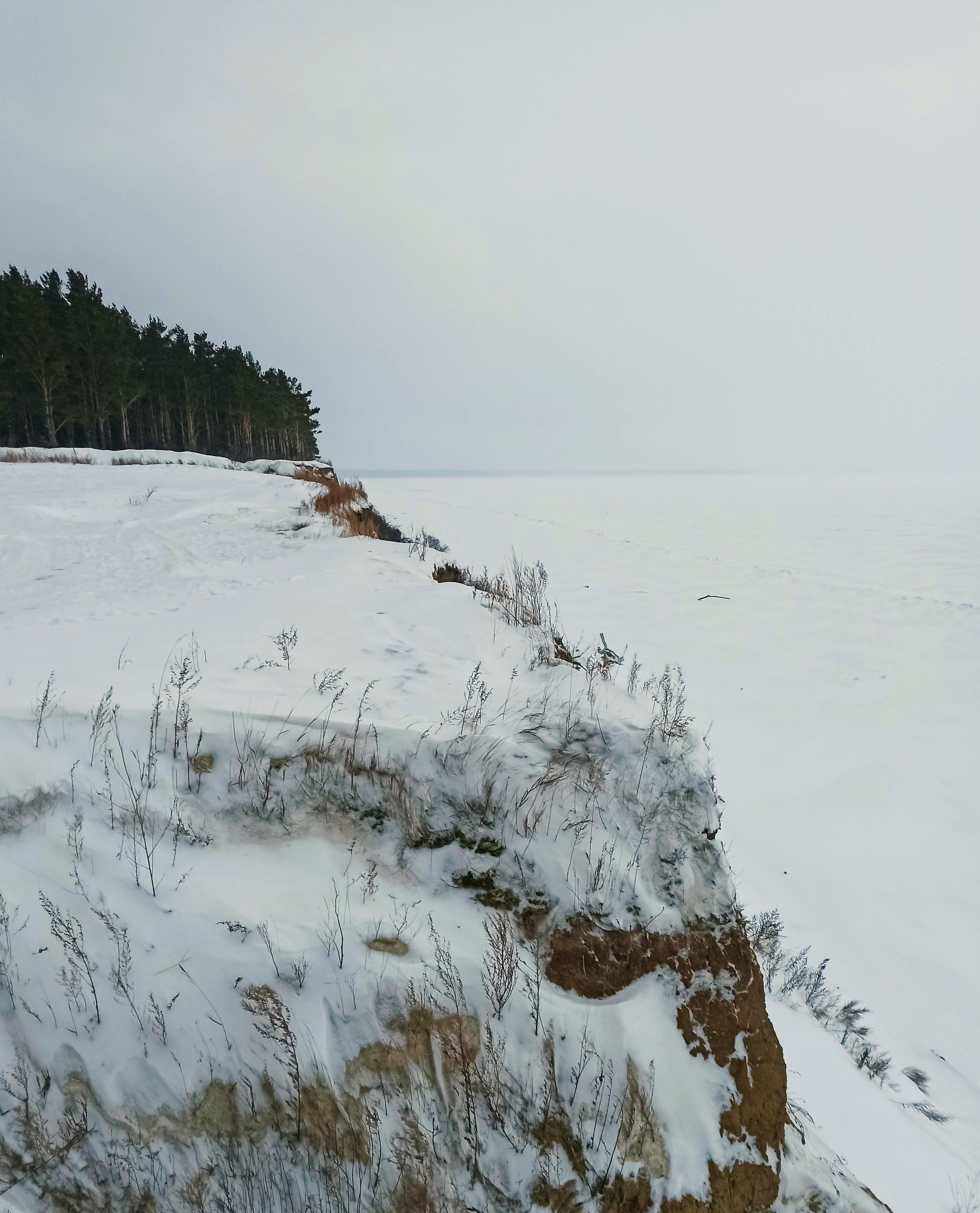 Snow on Lakeshore · Free Stock Photo