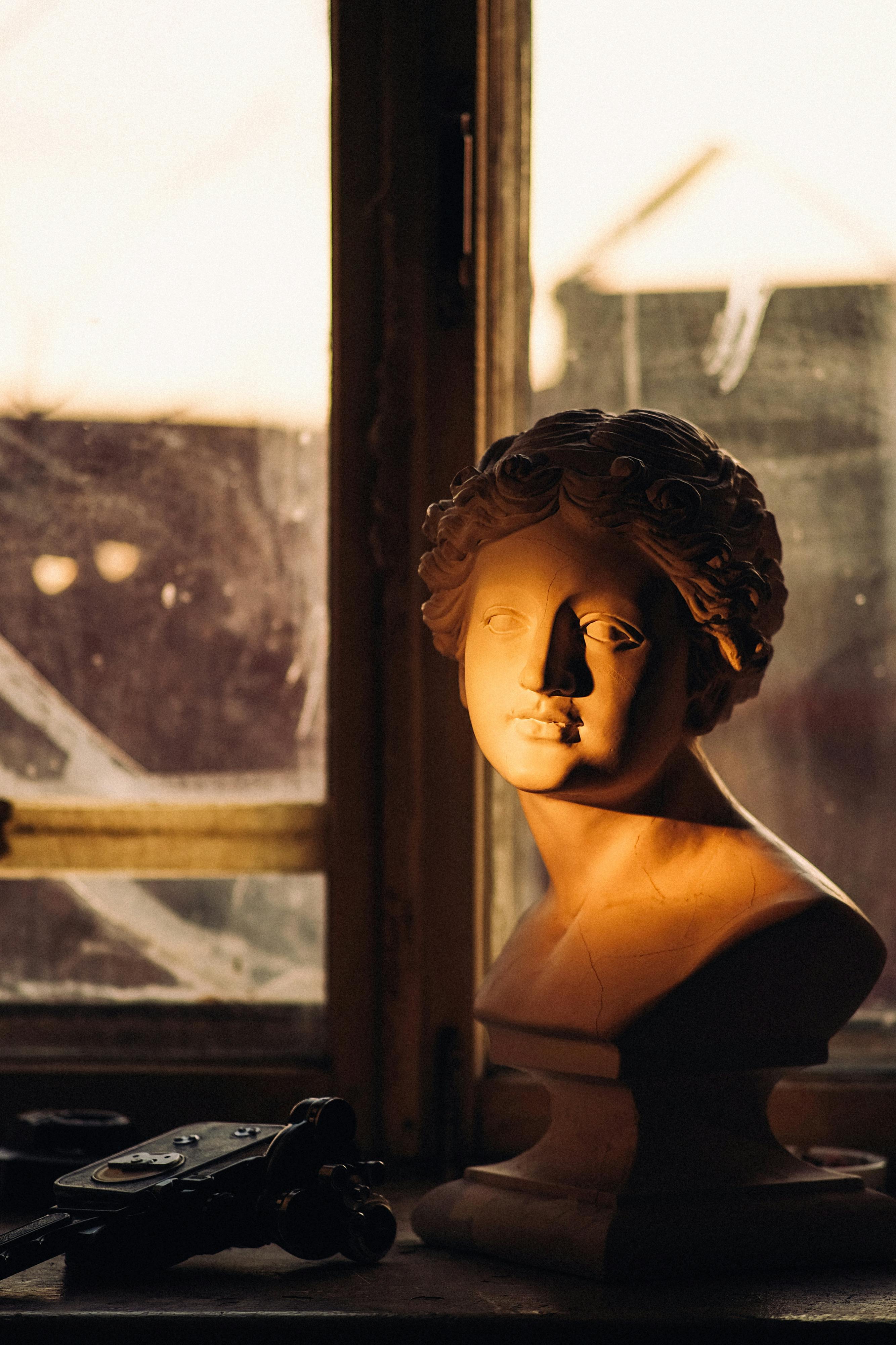 200+ Best Bust Photos · 100% Free Download · Pexels Stock Photos