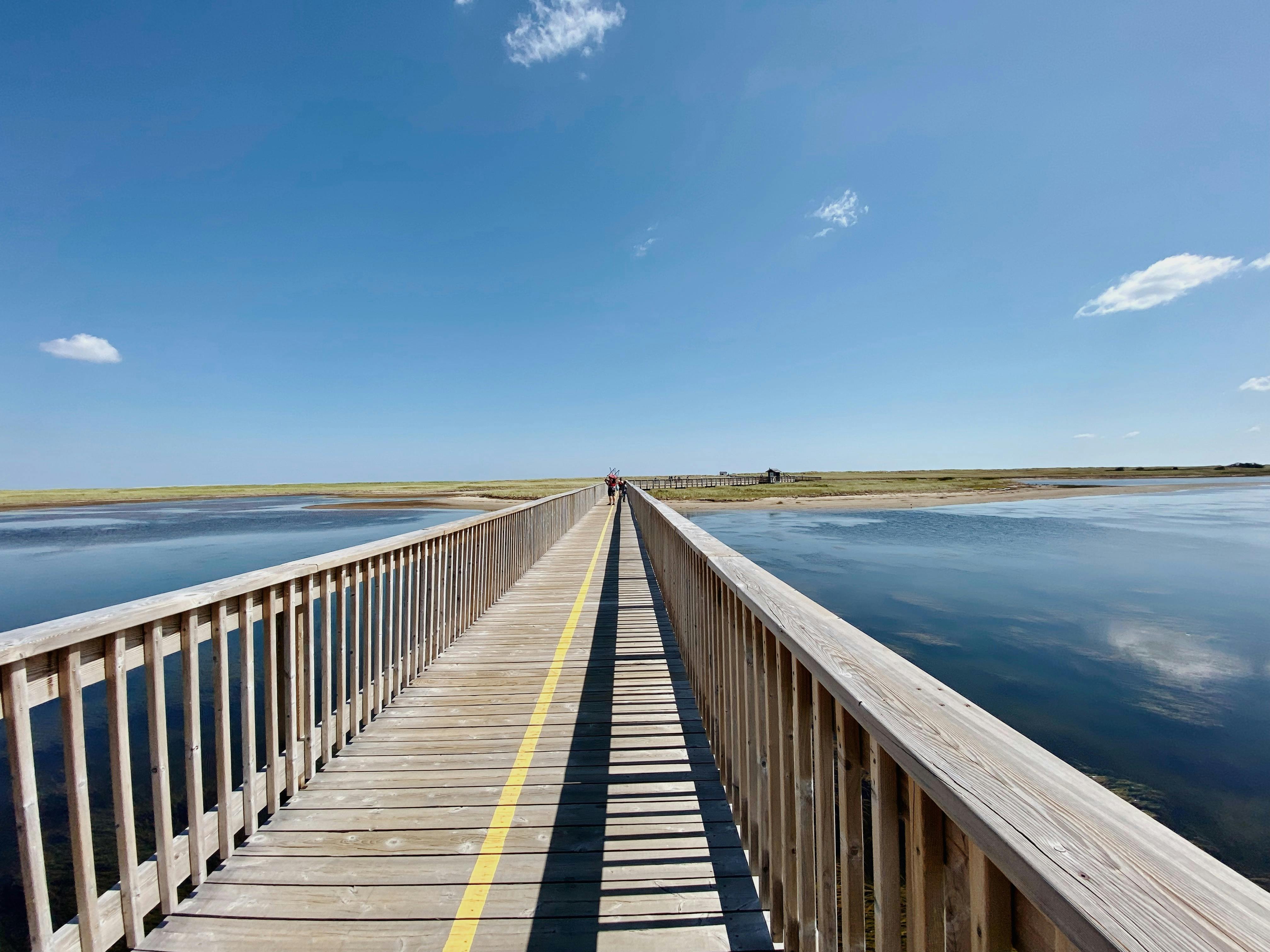 Wooden Bridge in Sea · Free Stock Photo