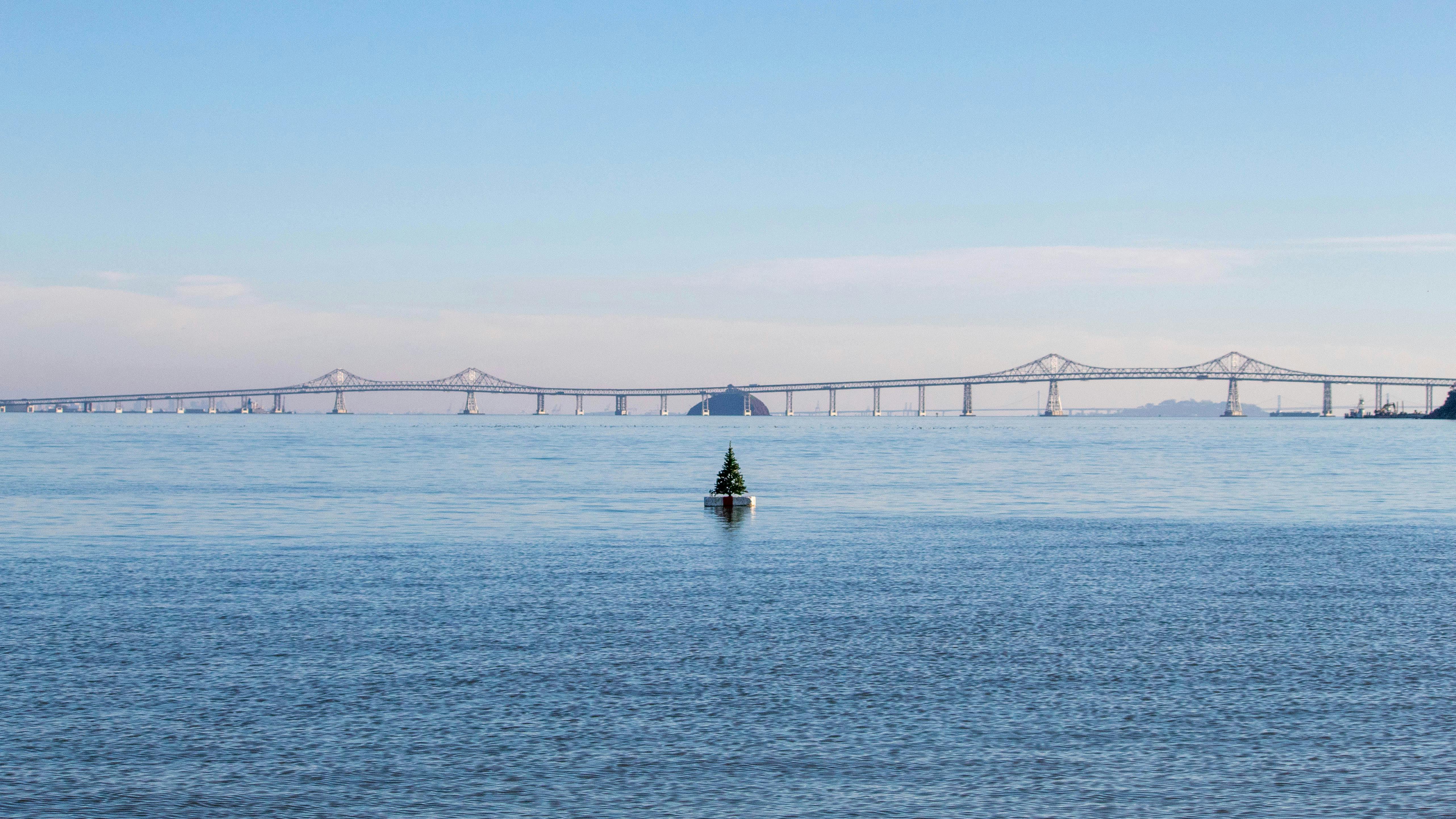 Christmas Bridge Photos, Download The BEST Free Christmas Bridge Stock ...