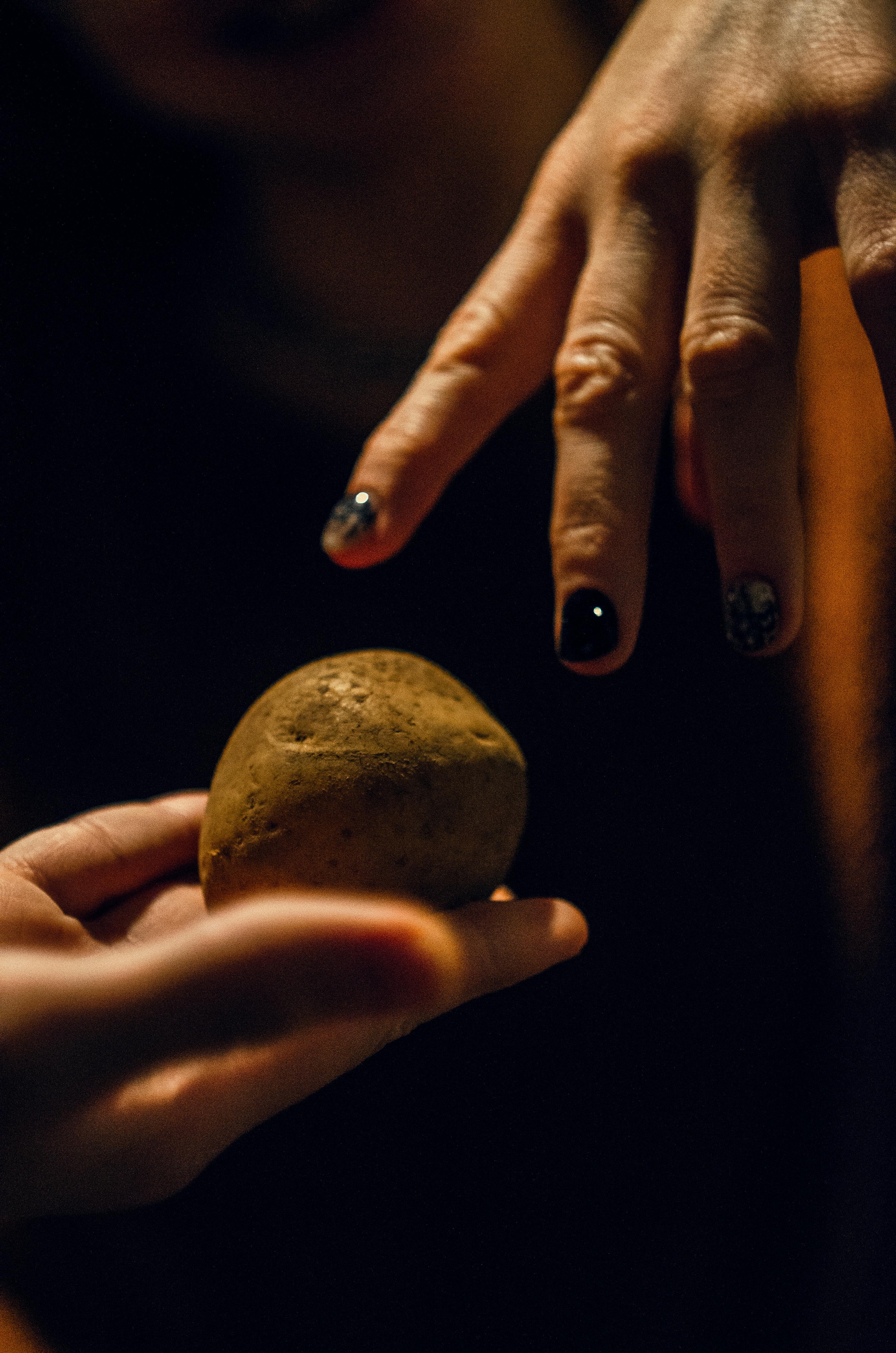 Person Holding a Stone · Free Stock Photo
