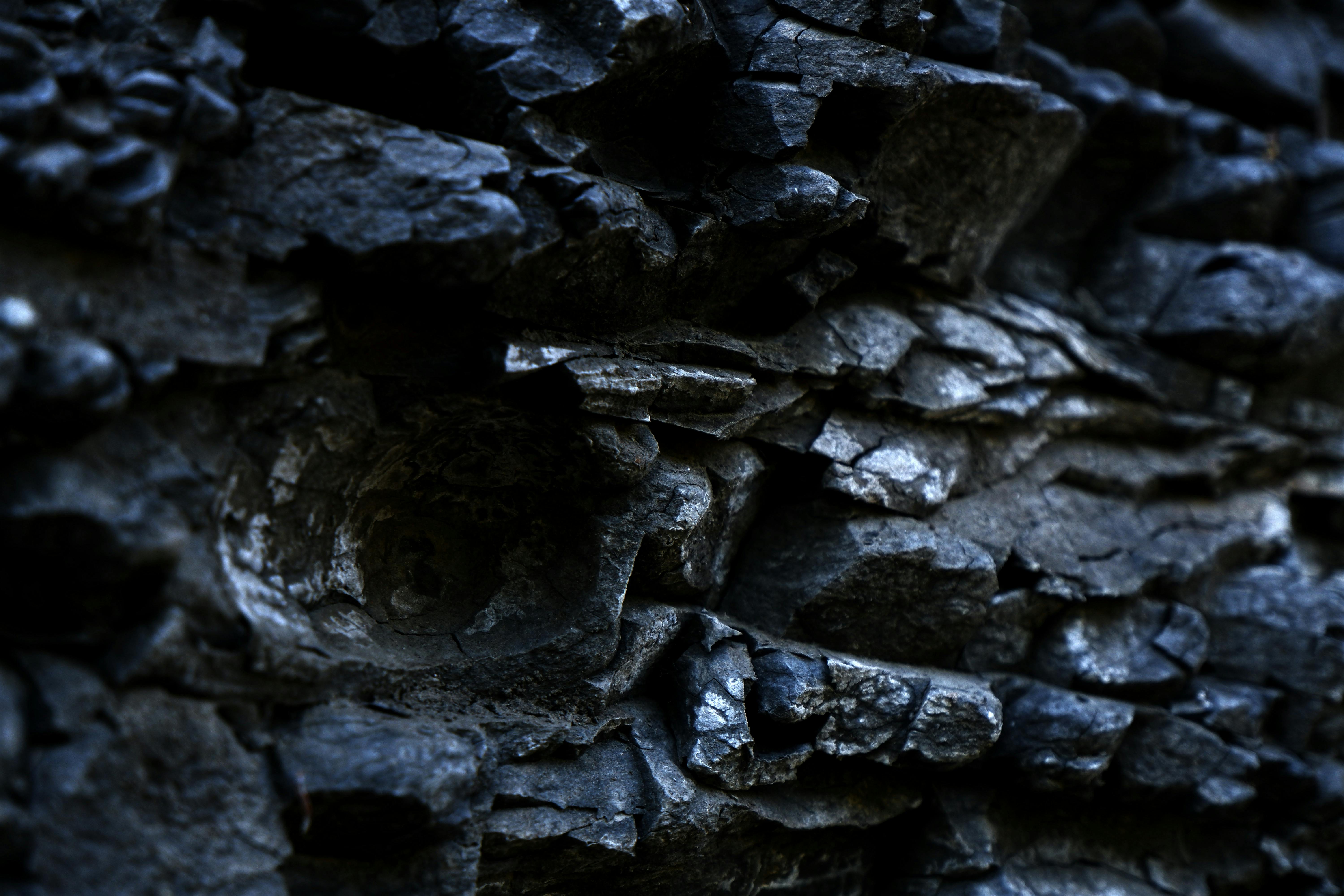 A Close-Up Shot of a Charcoal · Free Stock Photo