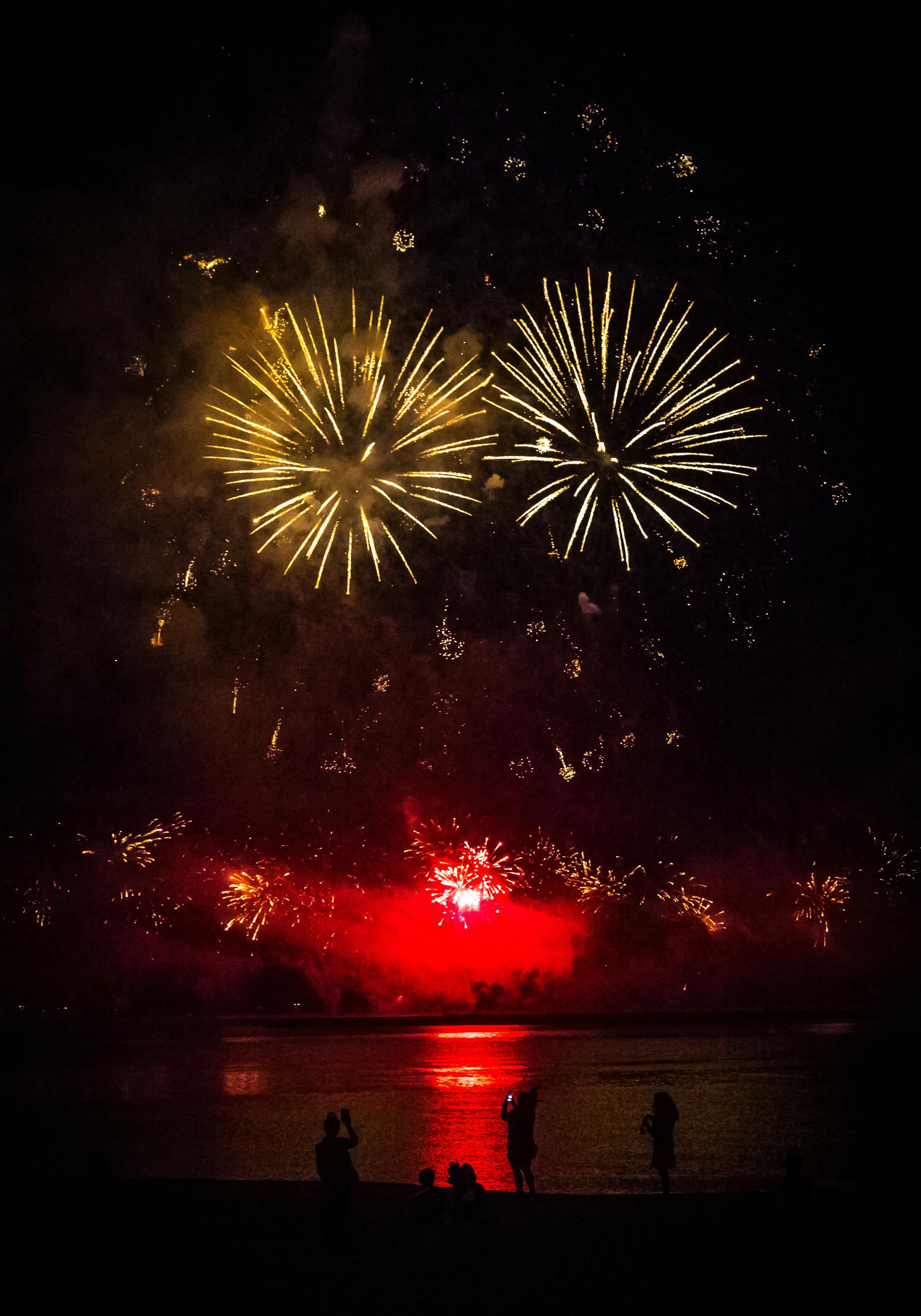 Night Sky with Fireworks · Free Stock Photo