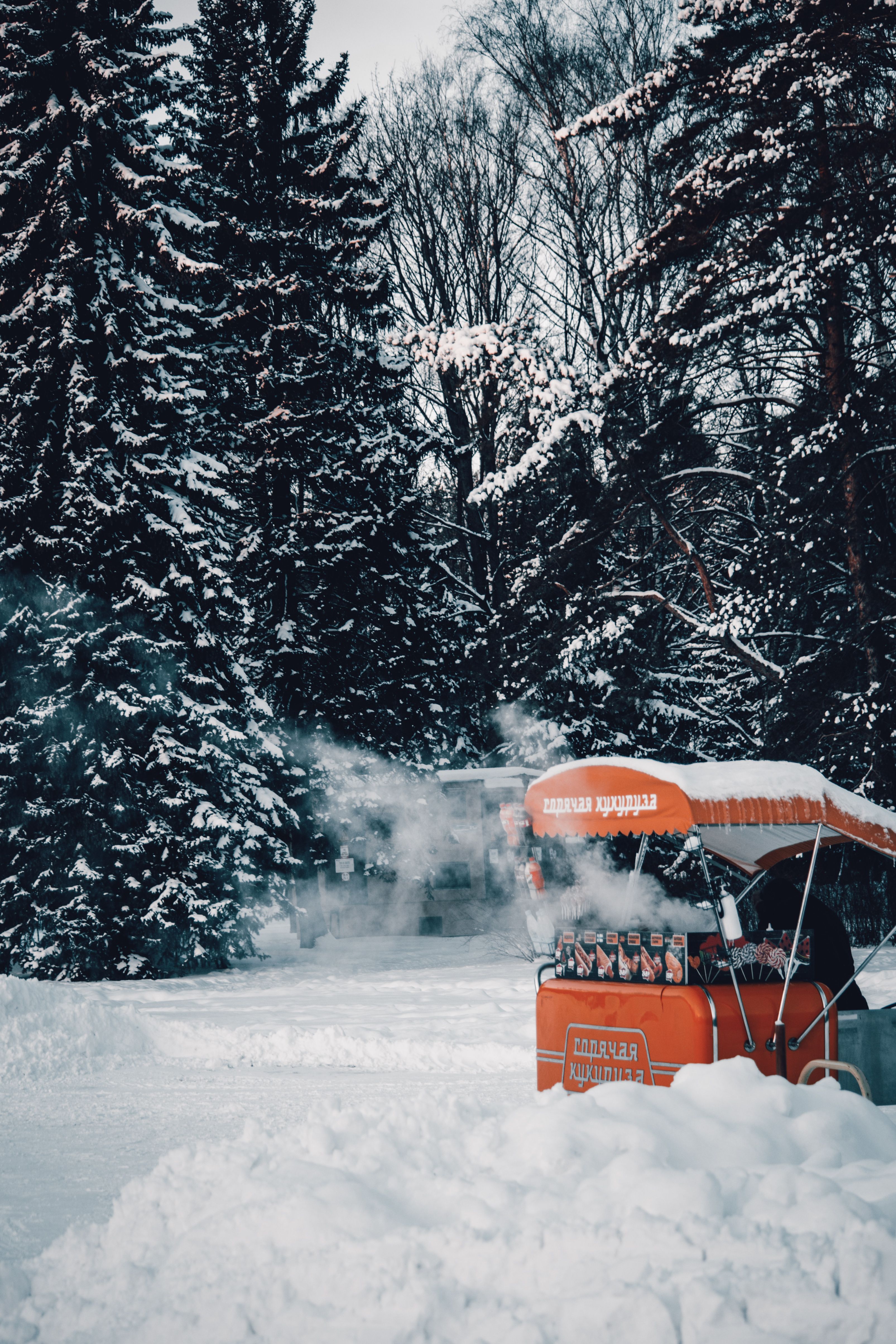 Red Food Cart on Snow Covered Ground · Free Stock Photo