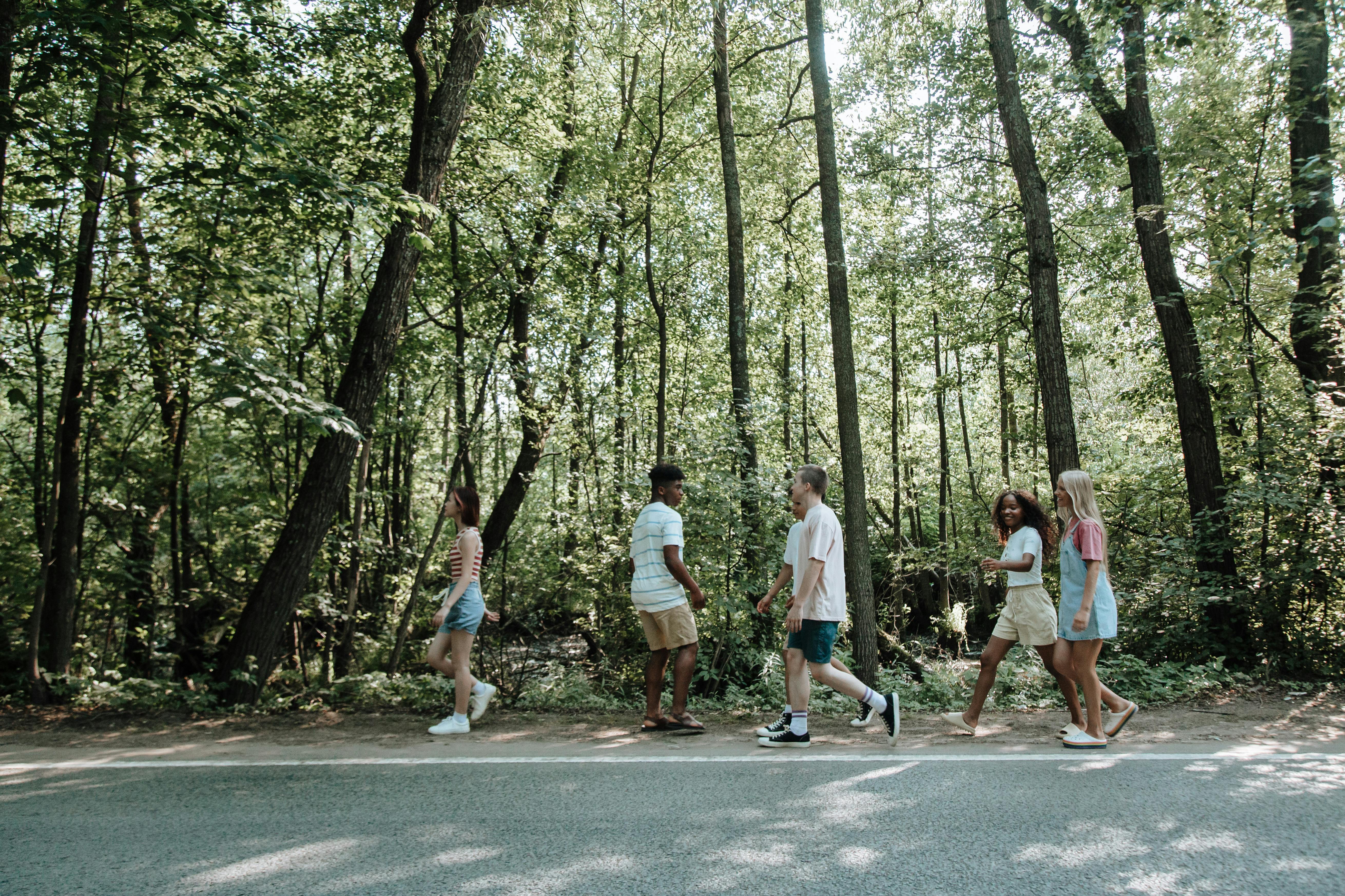 Group of Teenagers Walking by Road Running Through Forest · Free Stock ...