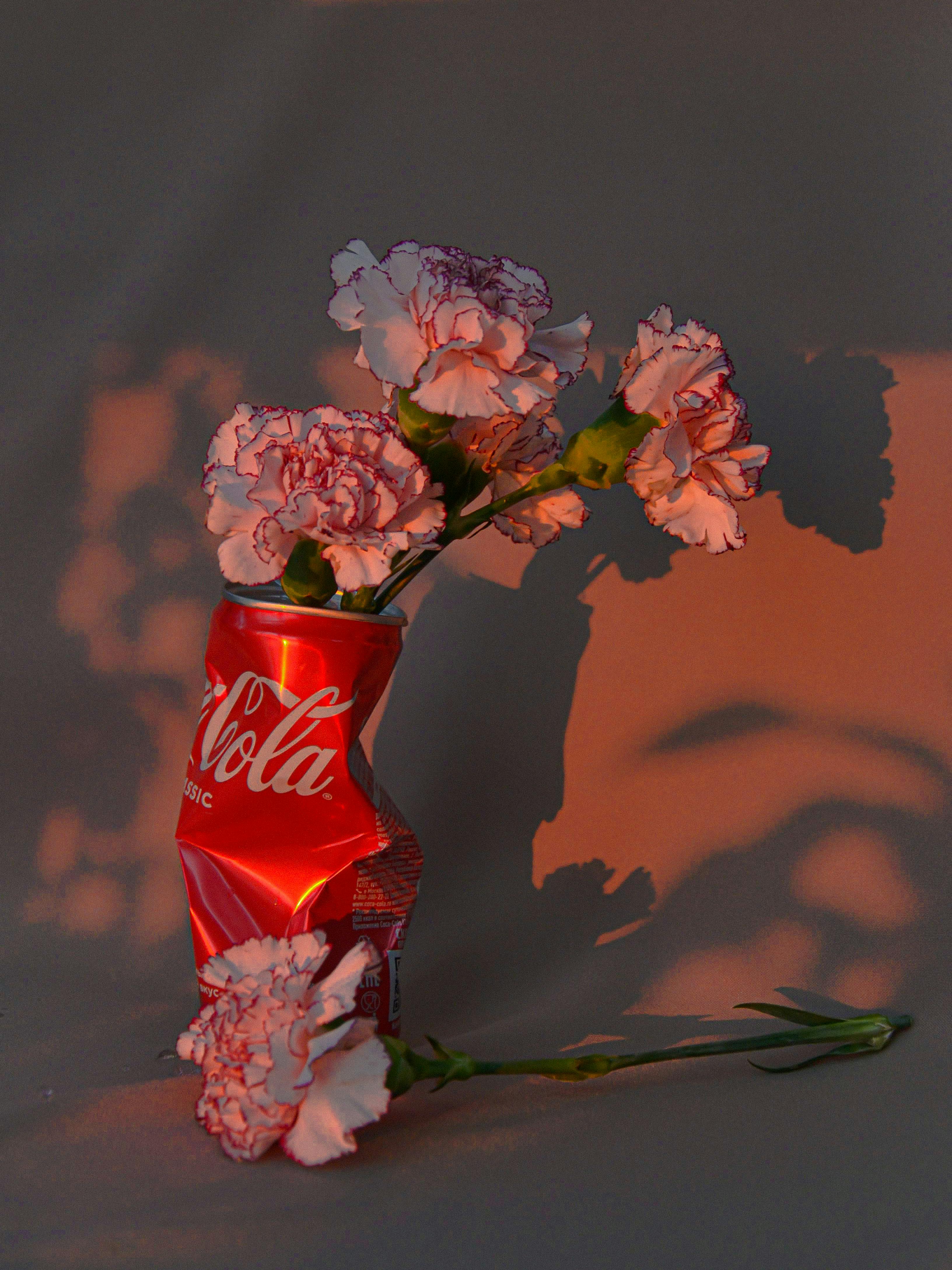 A Flowers in a Coca Cola Can · Free Stock Photo