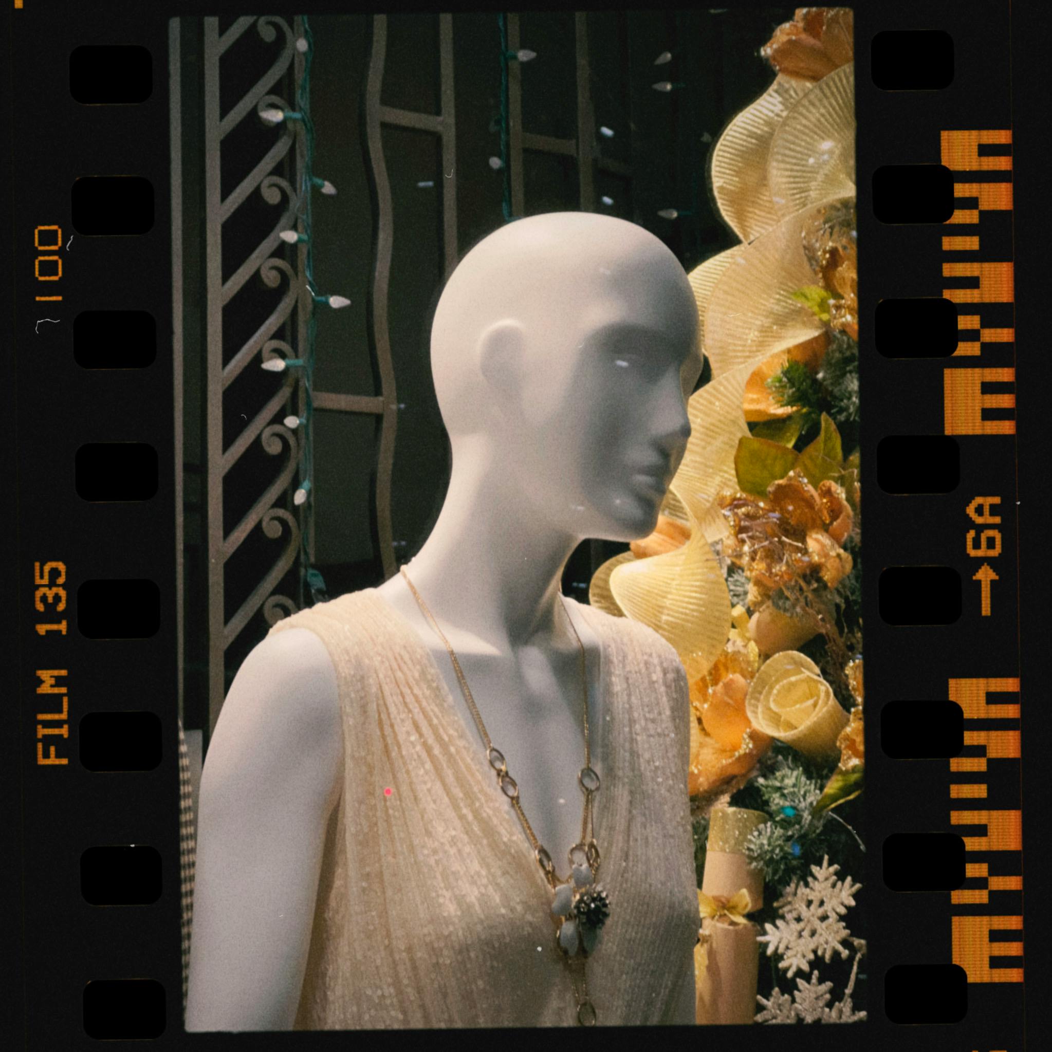 Close Up Shot of a Mannequin · Free Stock Photo