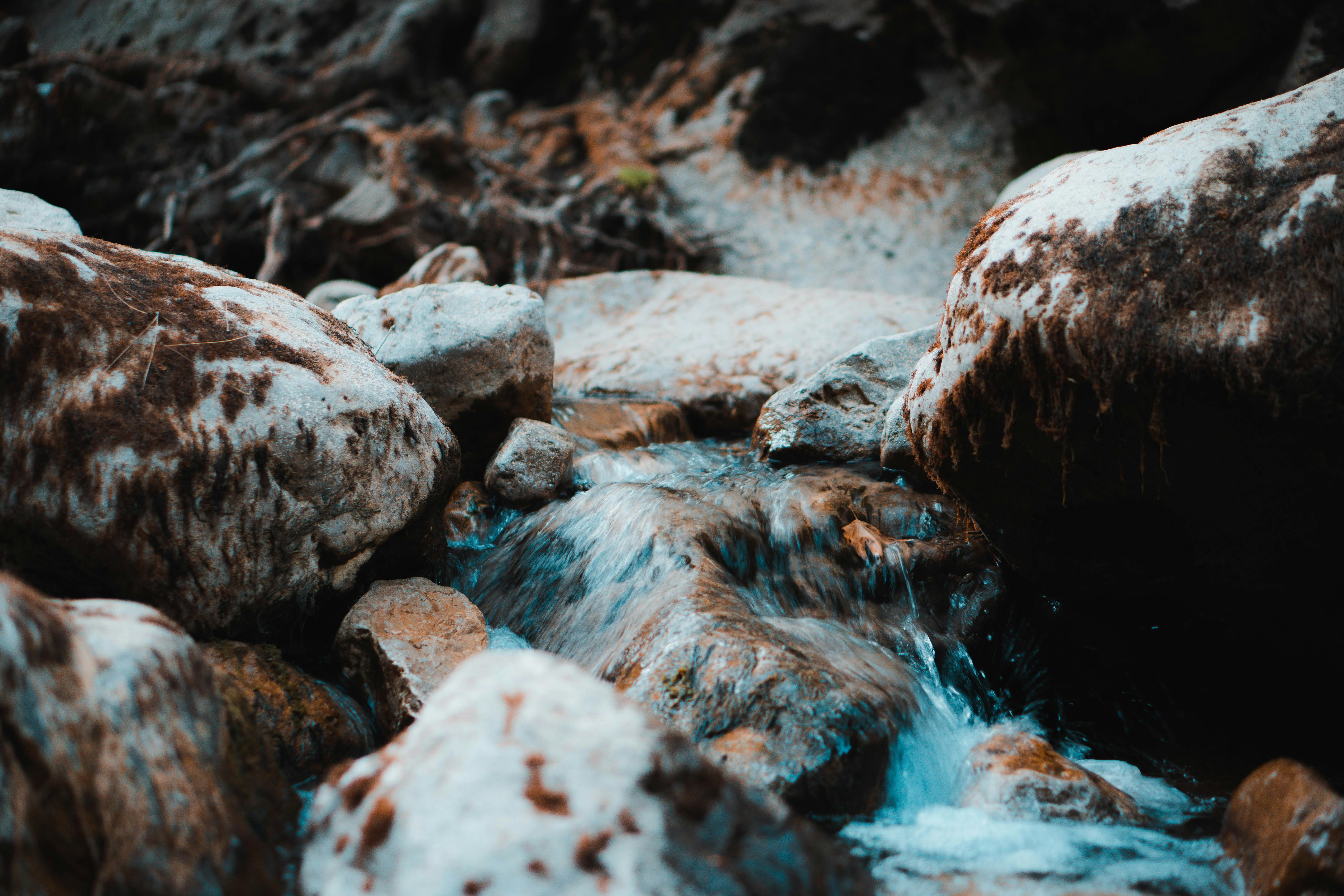 Close-Up Photography of Wet Stones · Free Stock Photo