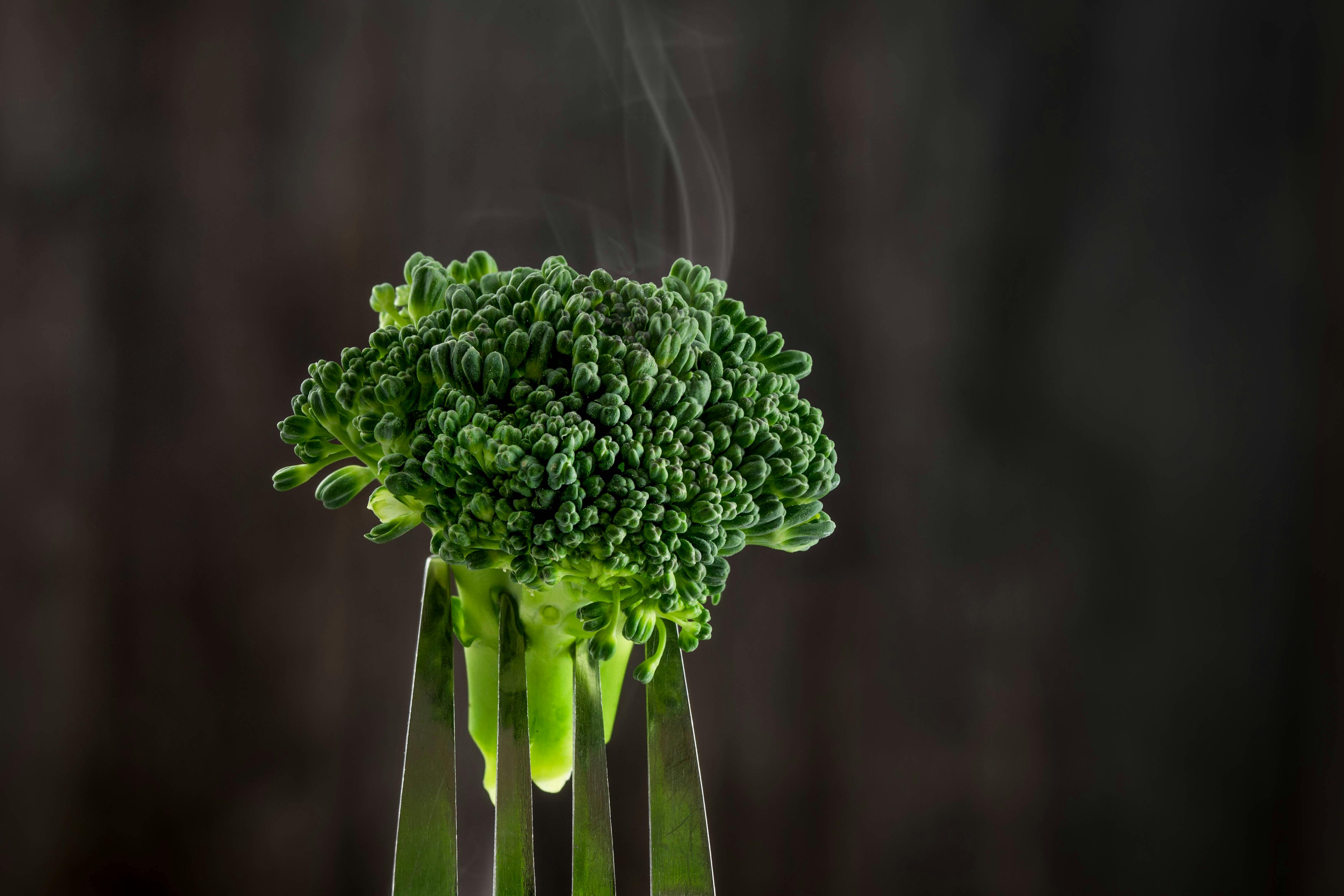 Boiled Broccoli on Fork Emitting Green Smoke · Free Stock Photo