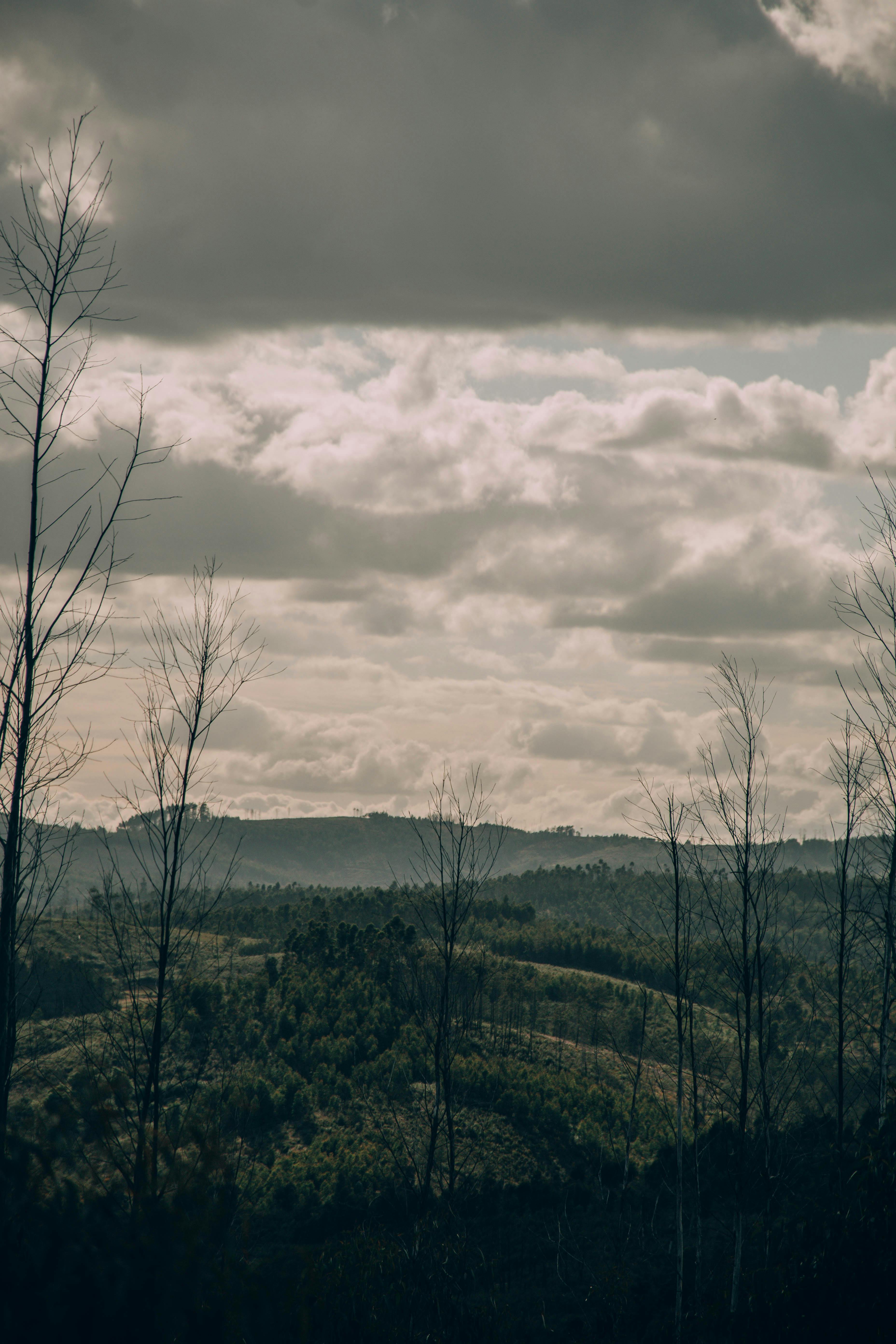 Blimp and Mountains · Free Stock Photo