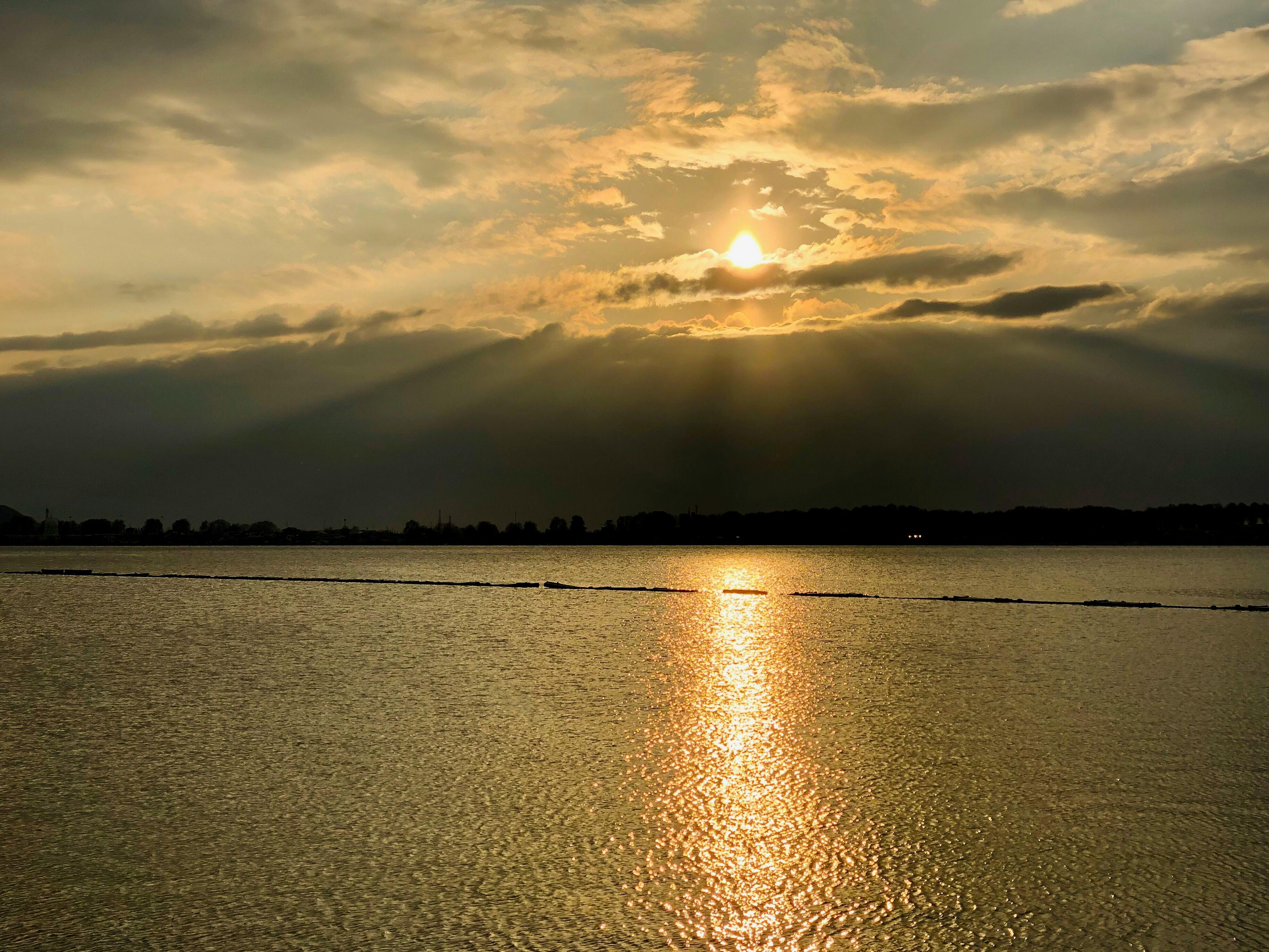 Muteeb Usmani - Photography