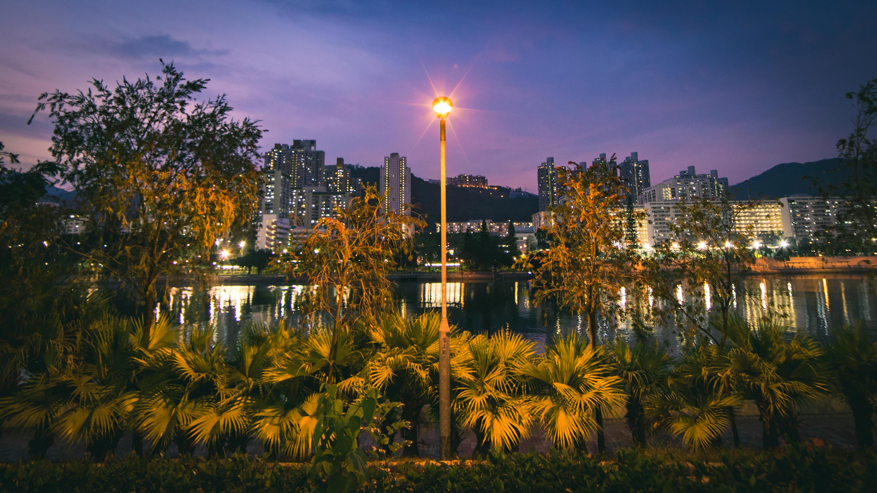 Yellow Light Post Near Plants · Free Stock Photo