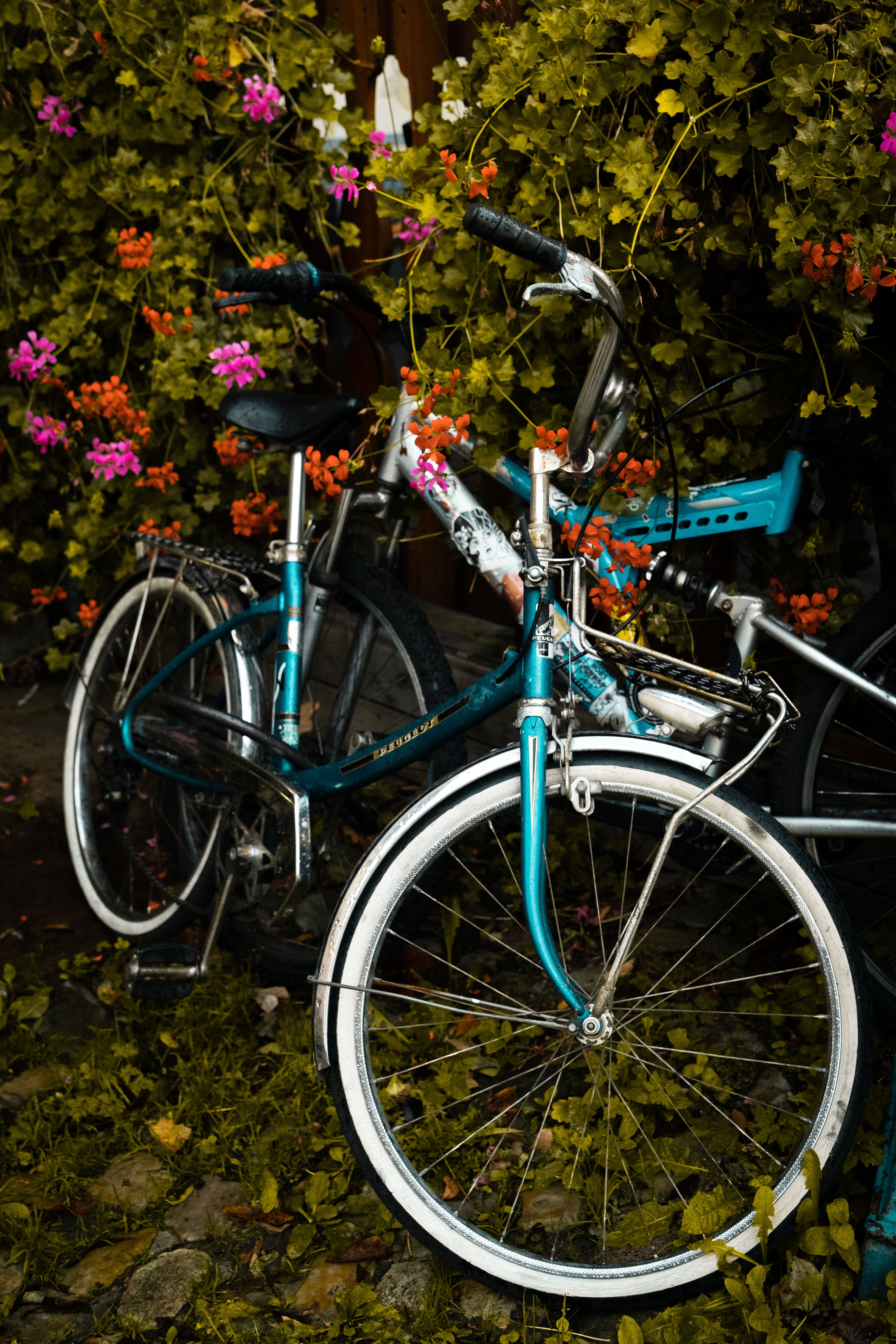 Blue Bicycle on Green Grass · Free Stock Photo