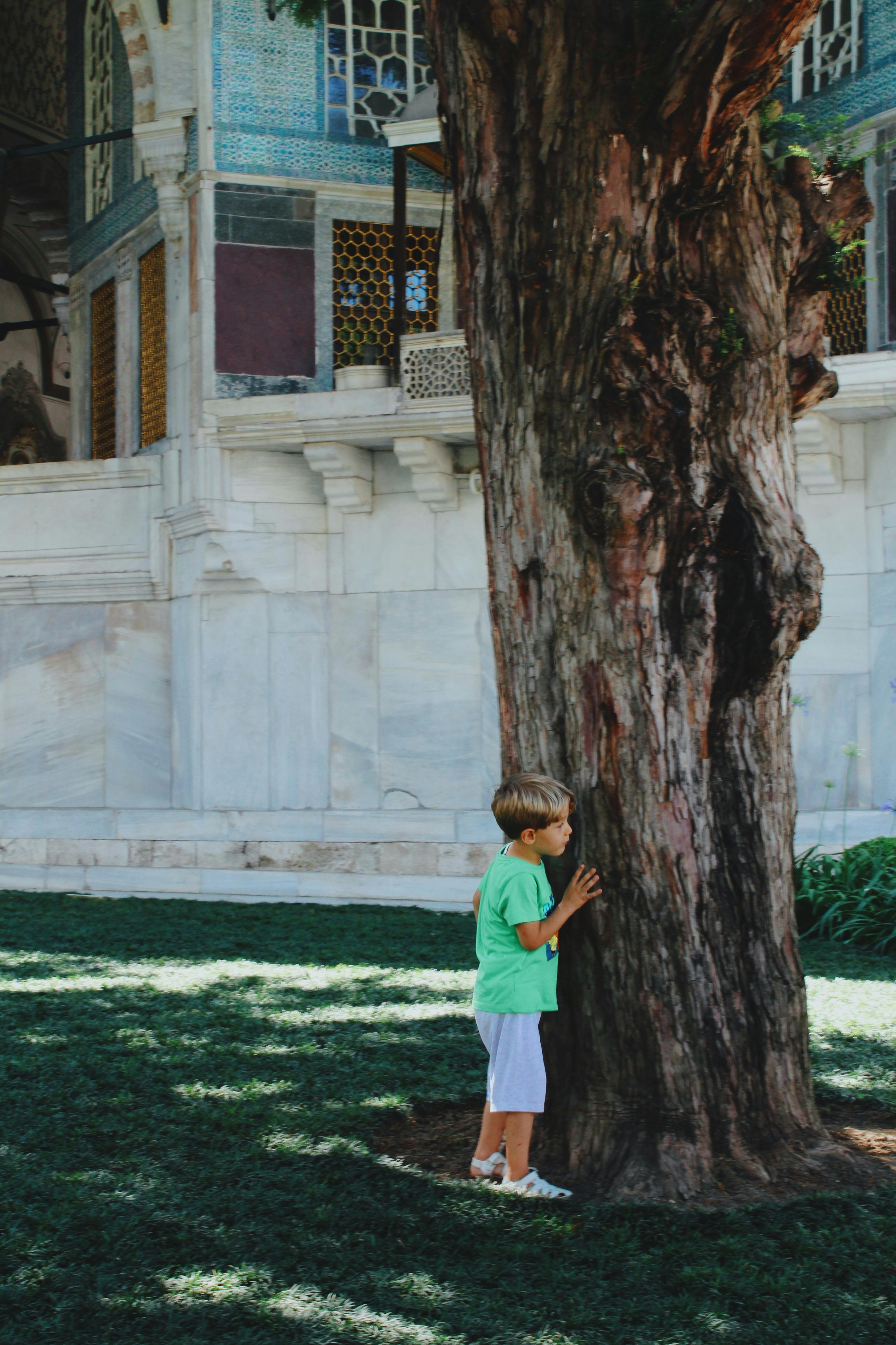A Kid Hiding behind a Big Tree · Free Stock Photo