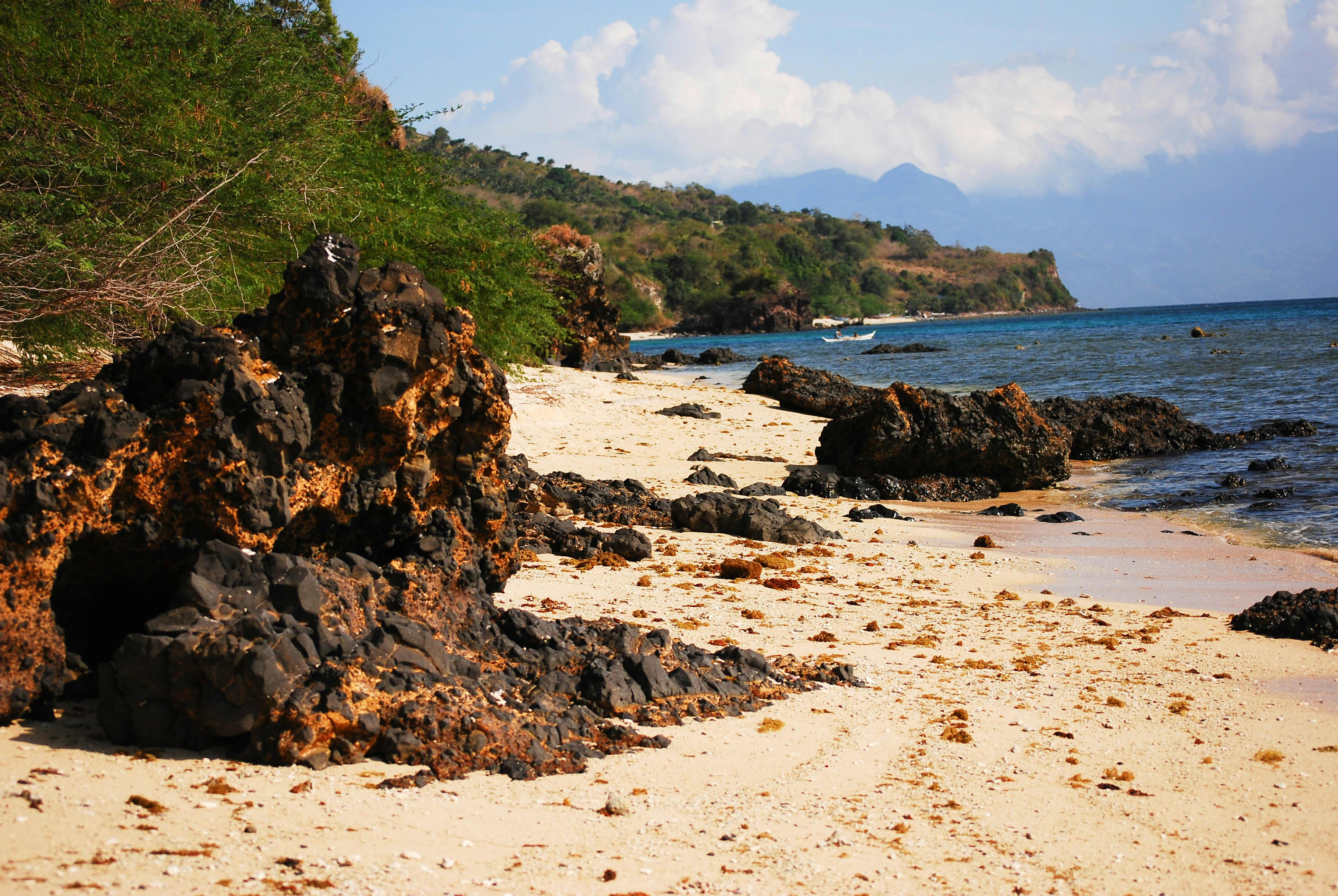 Photo of Rocky Beach · Free Stock Photo