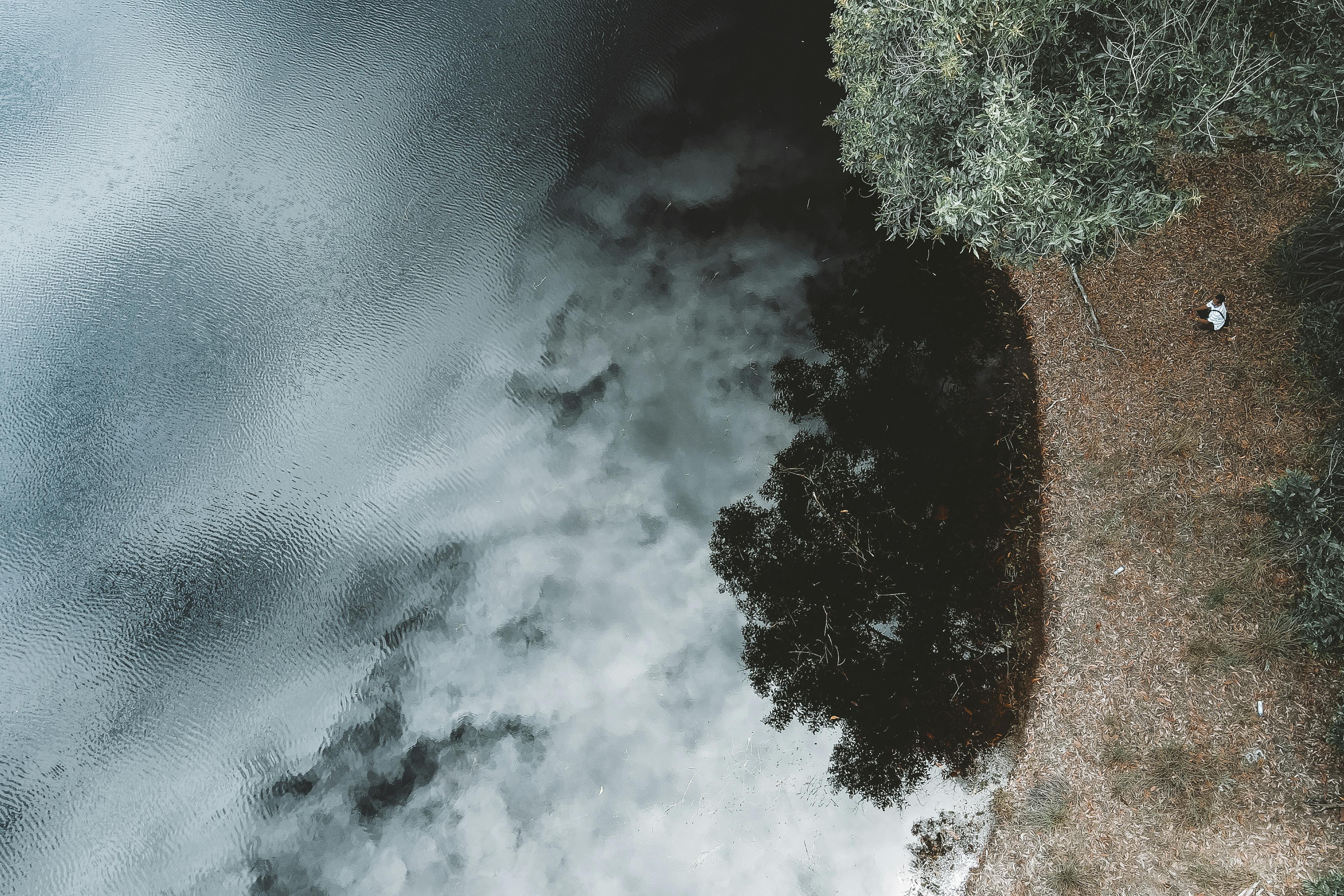 Aerial Footage of Pond Reflecting Clouds and Tree · Free Stock Photo