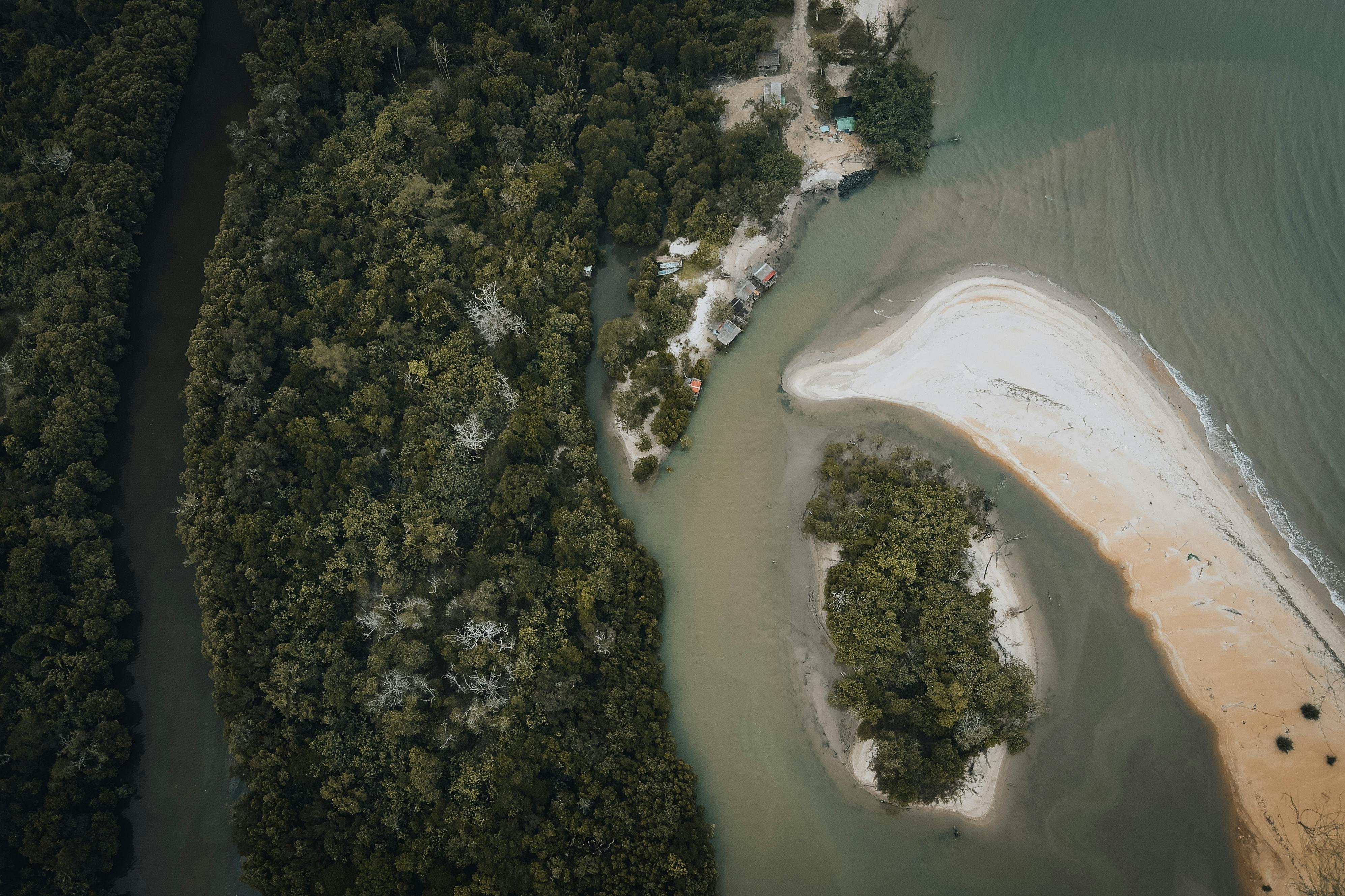 An Aerial View of an island with Green Trees · Free Stock Photo