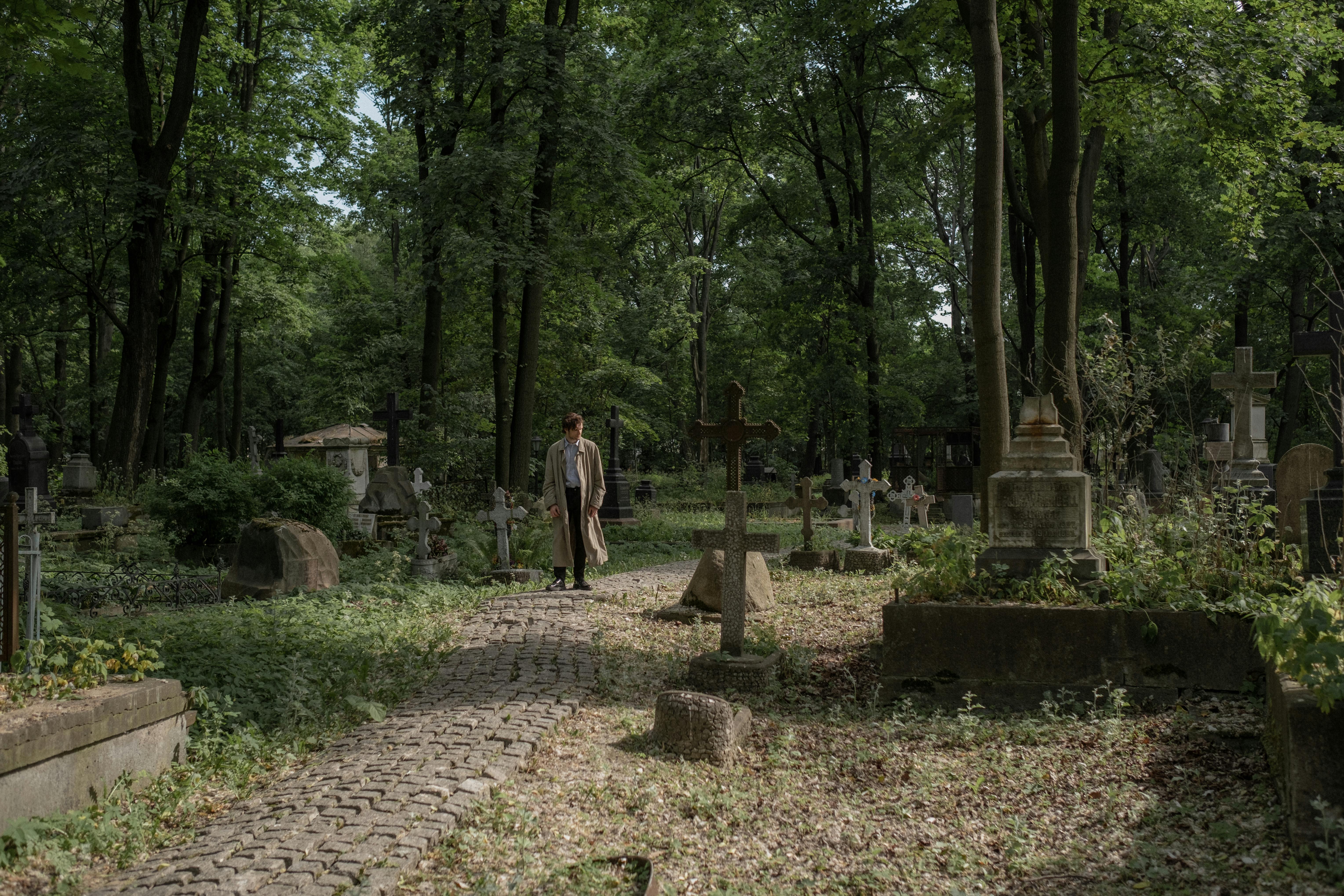 Cemetery Path Photos, Download The BEST Free Cemetery Path Stock Photos ...