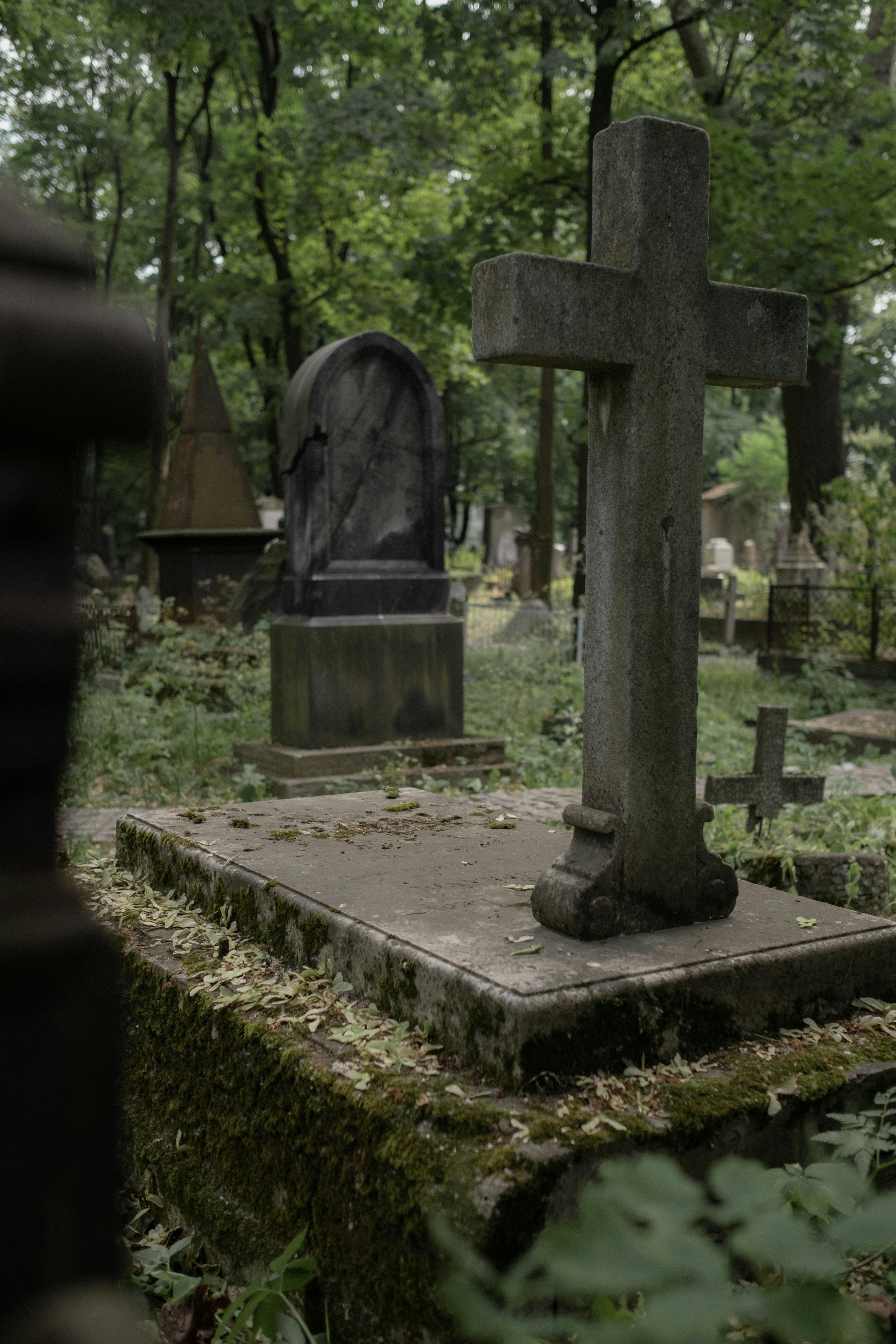Close-up of Flowers on a Grave · Free Stock Photo