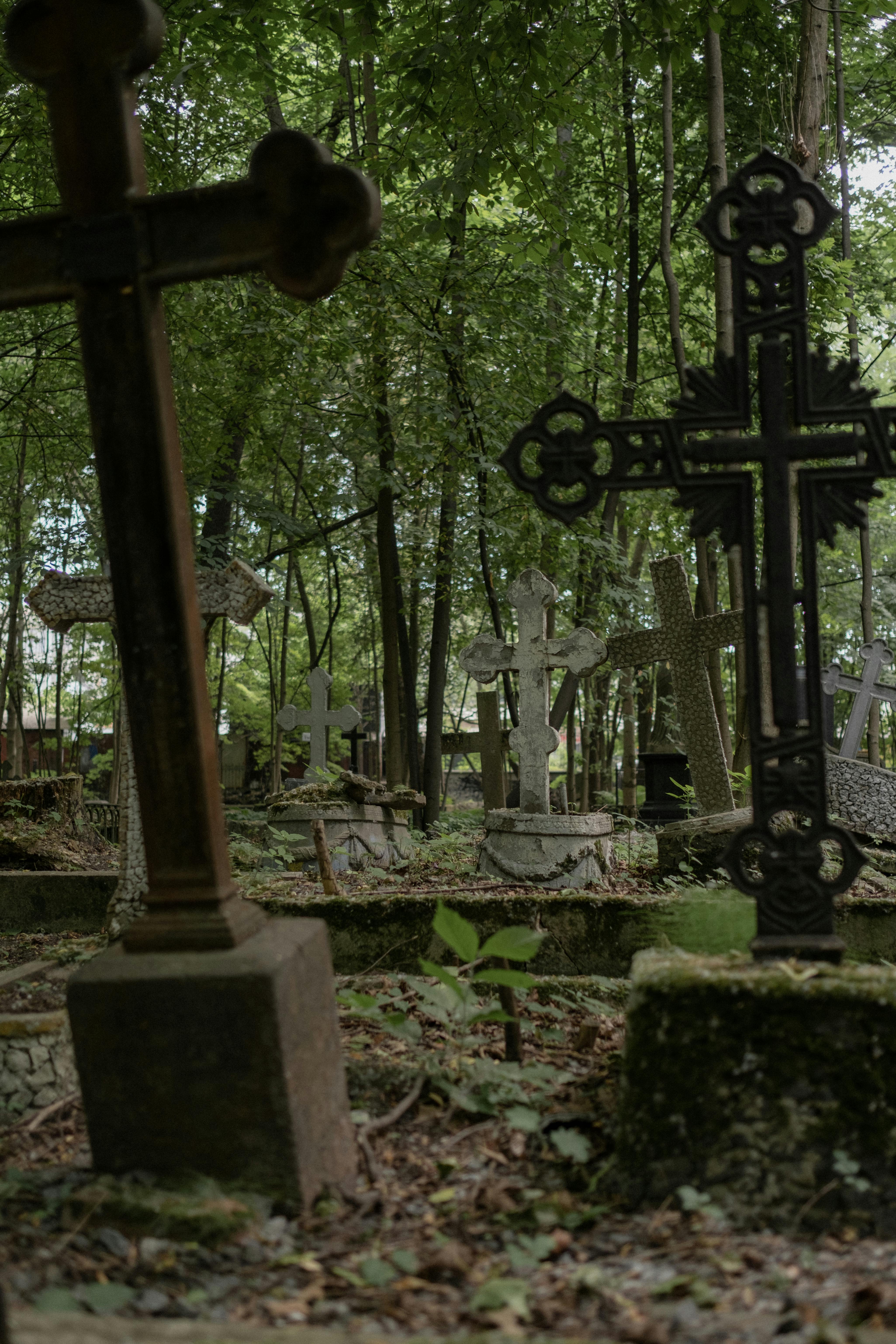 Graves in a Cemetery · Free Stock Photo