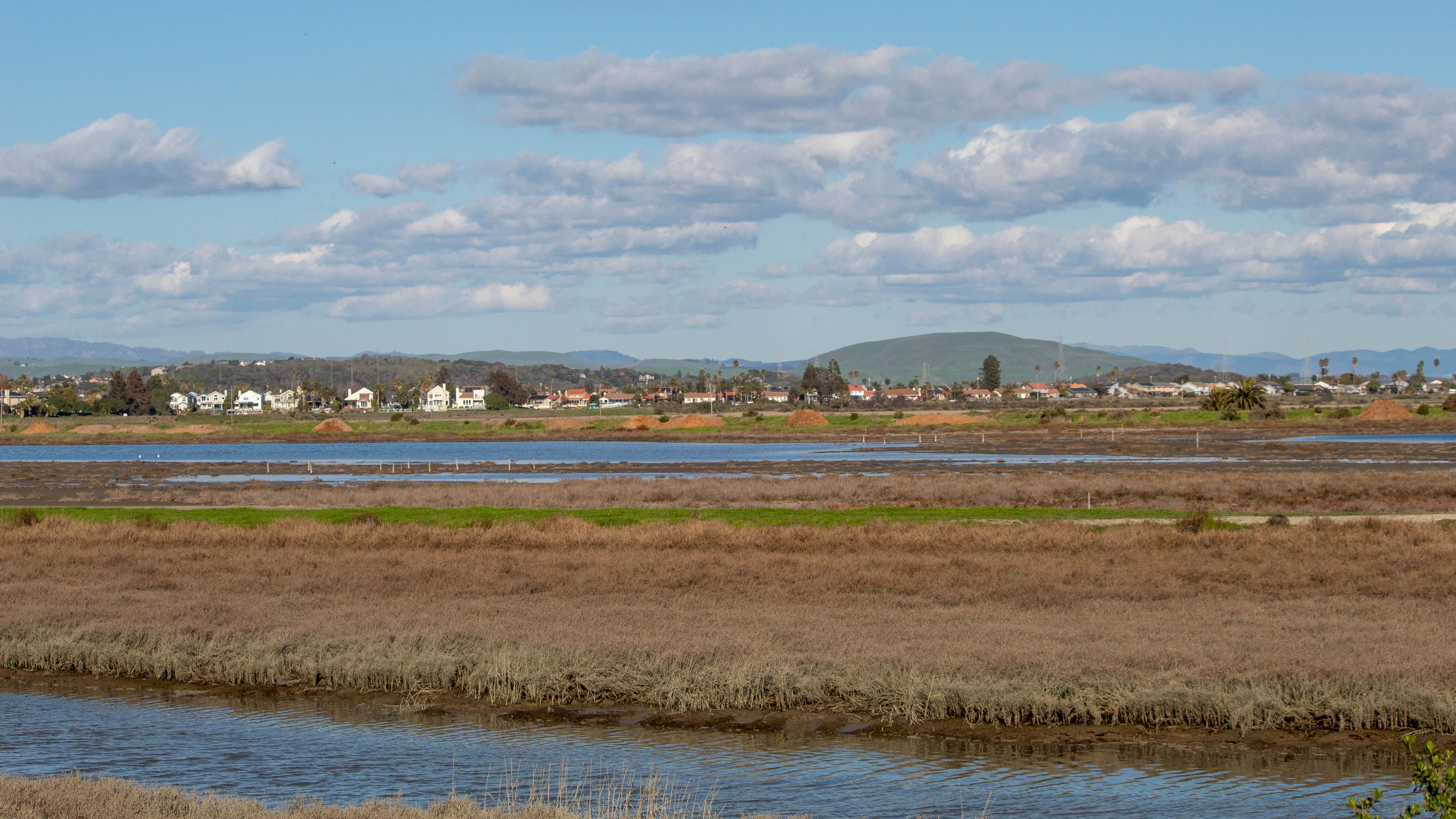 Flatlands Photos, Download The BEST Free Flatlands Stock Photos & HD Images