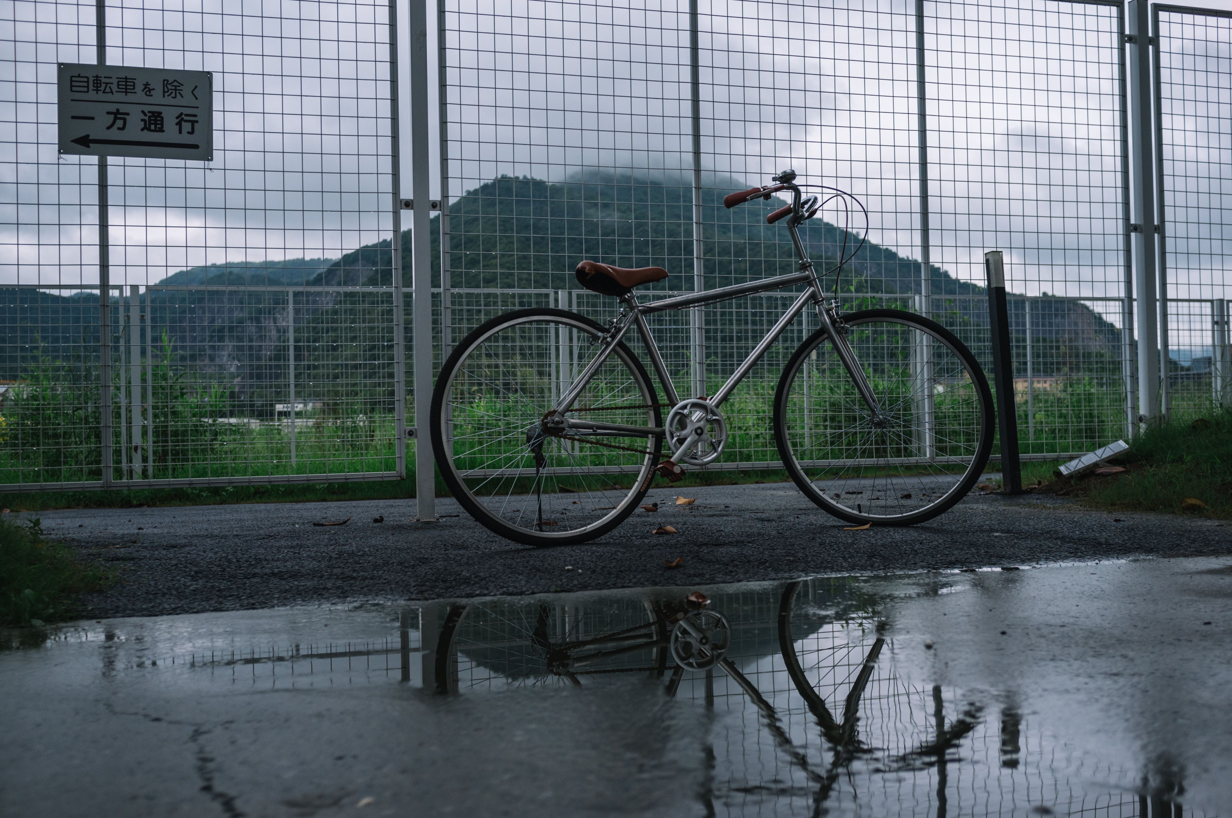Grey Bicycle Photos, Download The BEST Free Grey Bicycle Stock Photos ...
