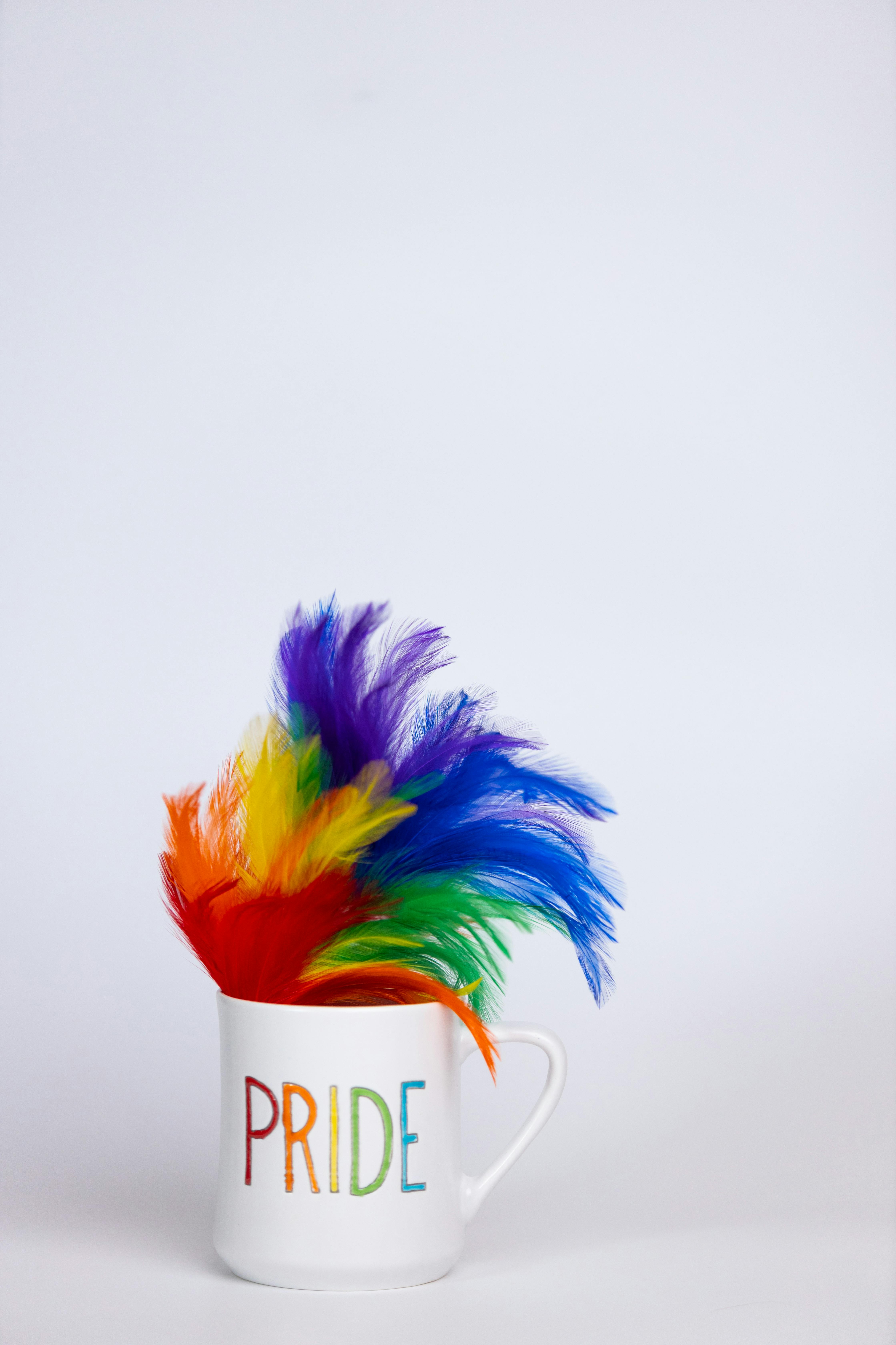 Rainbow Feather Photos, Download The BEST Free Rainbow Feather Stock ...