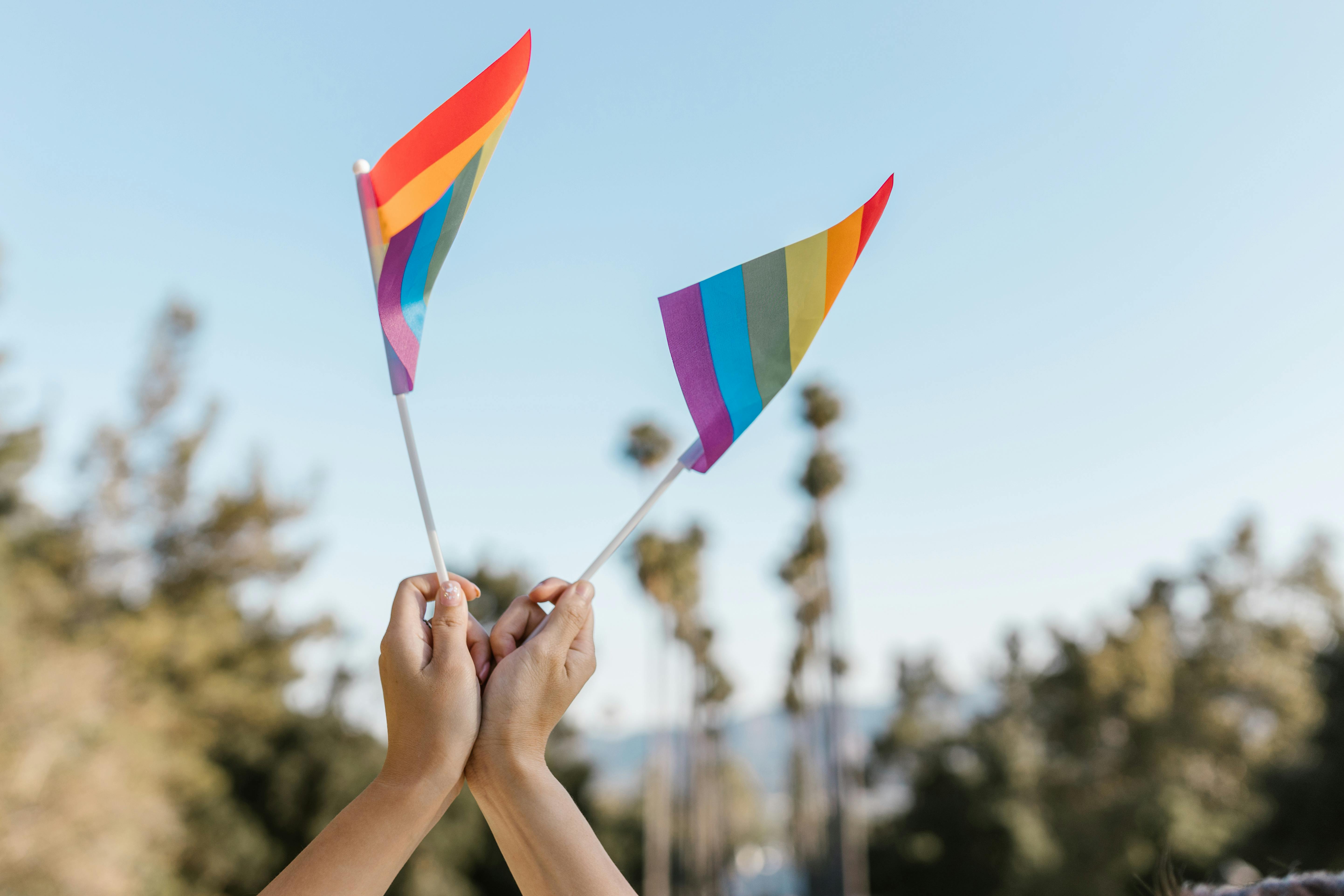 Two Unrecognizable Hands Holding High Small Rainbow Flags · Free Stock ...