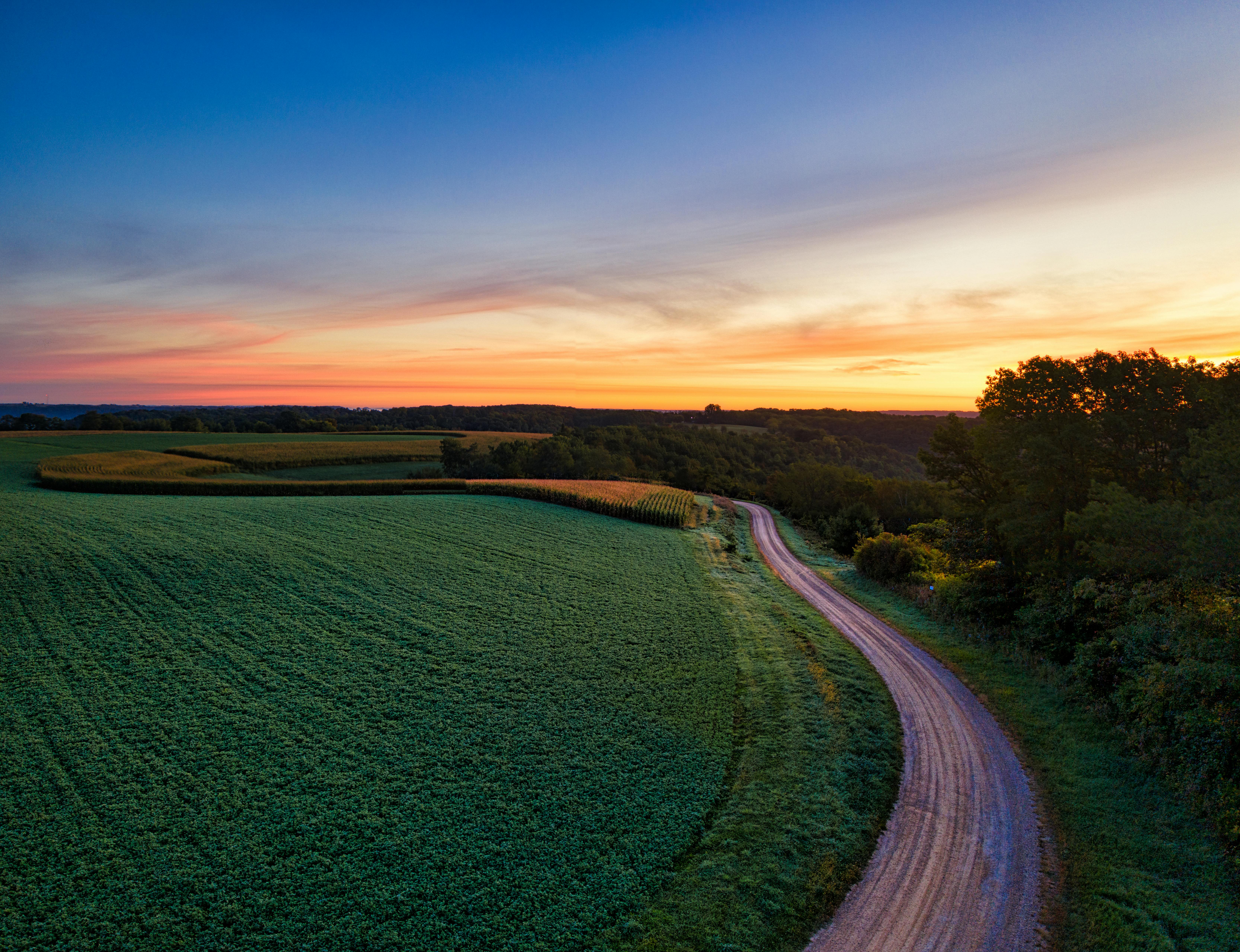 Green Grass Field Near Road · Free Stock Photo