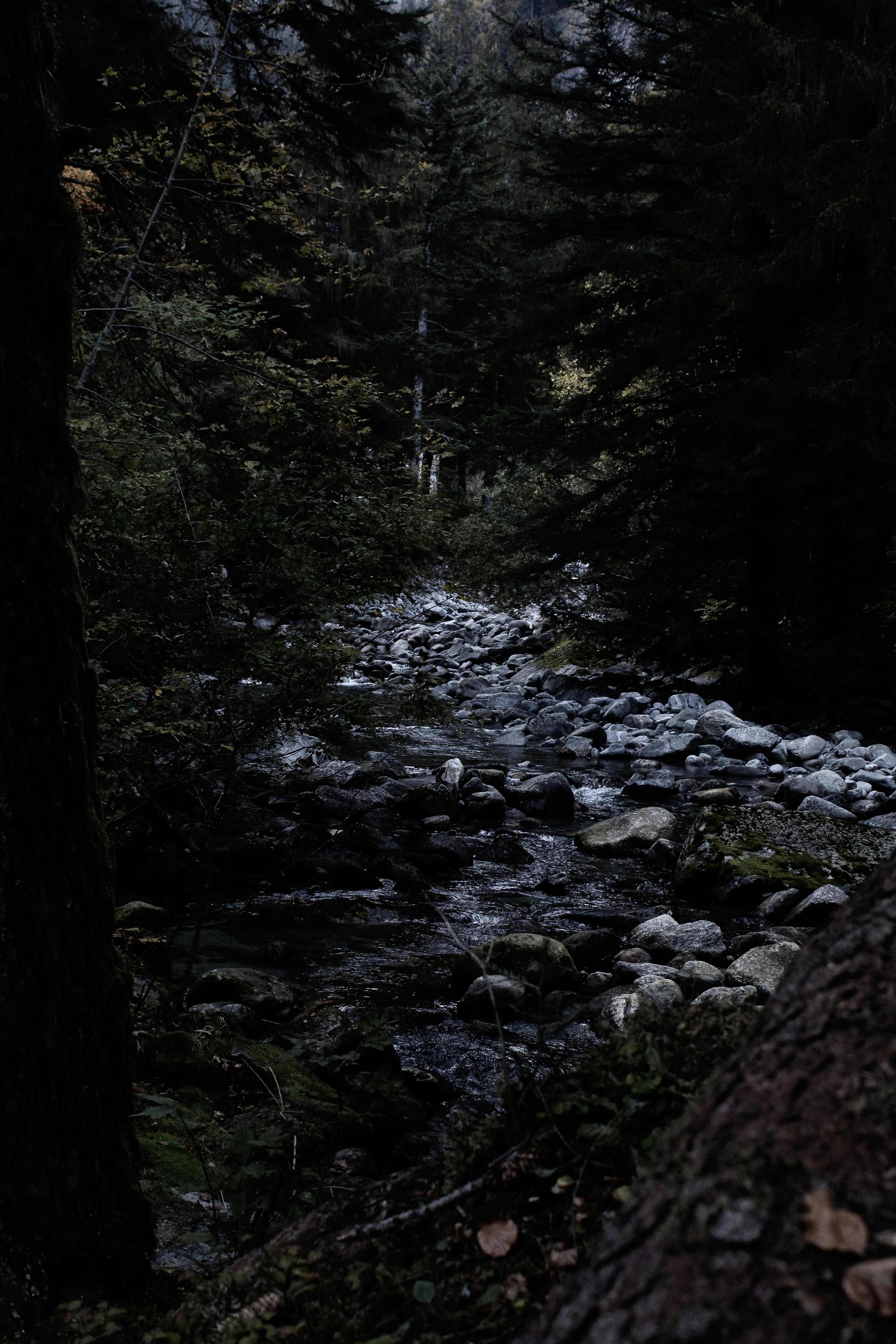 Mirco Noti - Photography