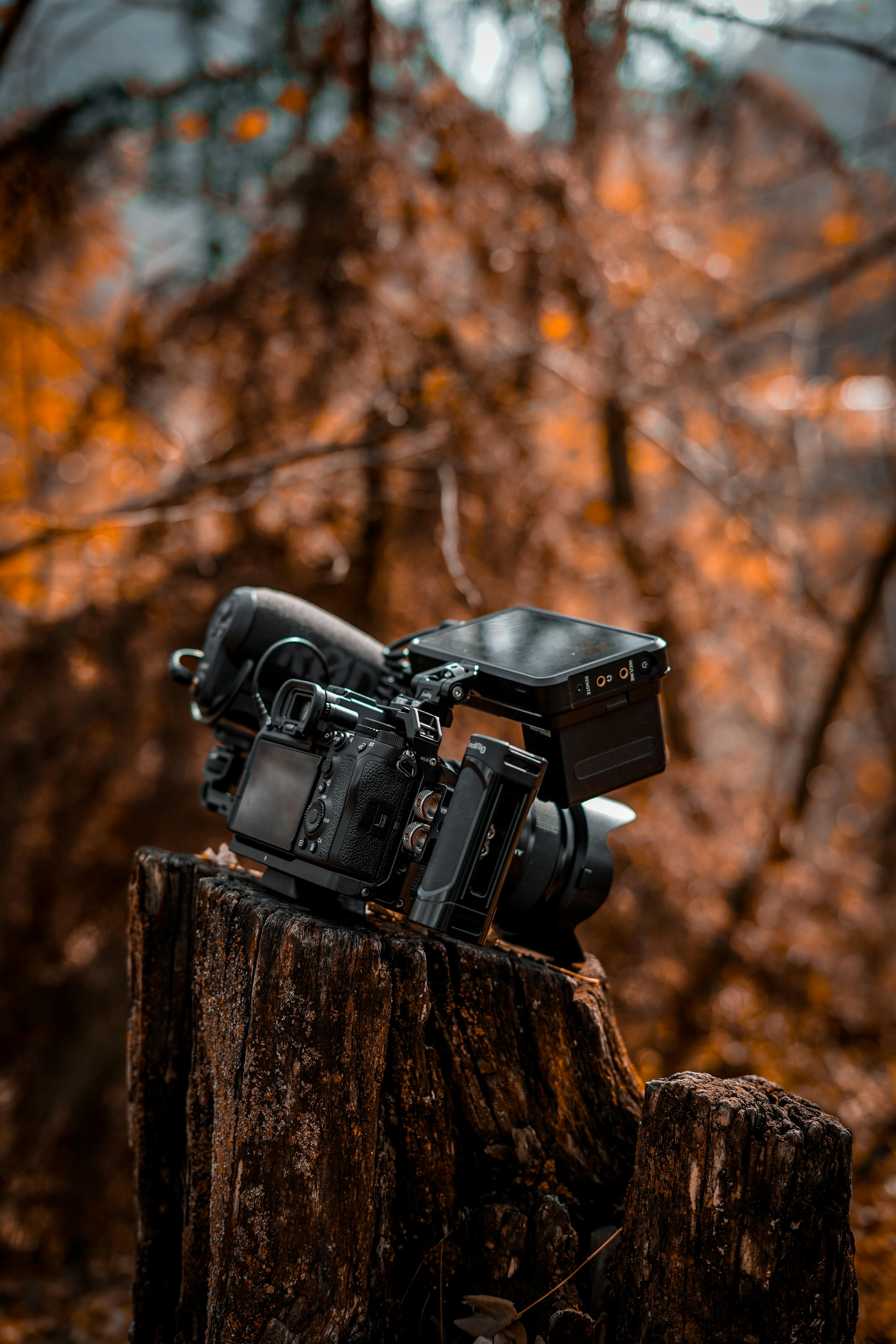 A Black Camera on a Tree Stump · Free Stock Photo