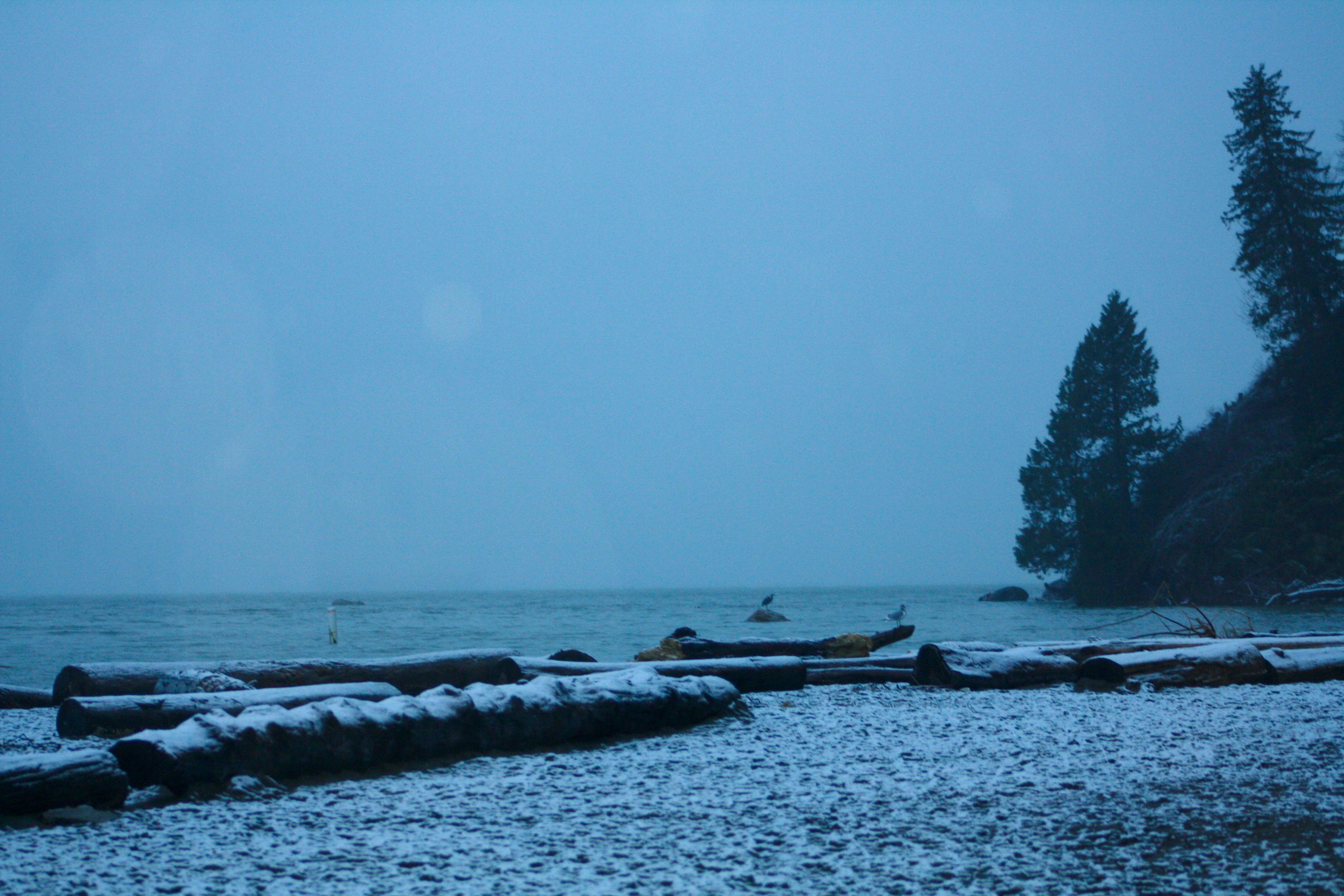 Winter Beach Photos, Download The BEST Free Winter Beach Stock Photos ...