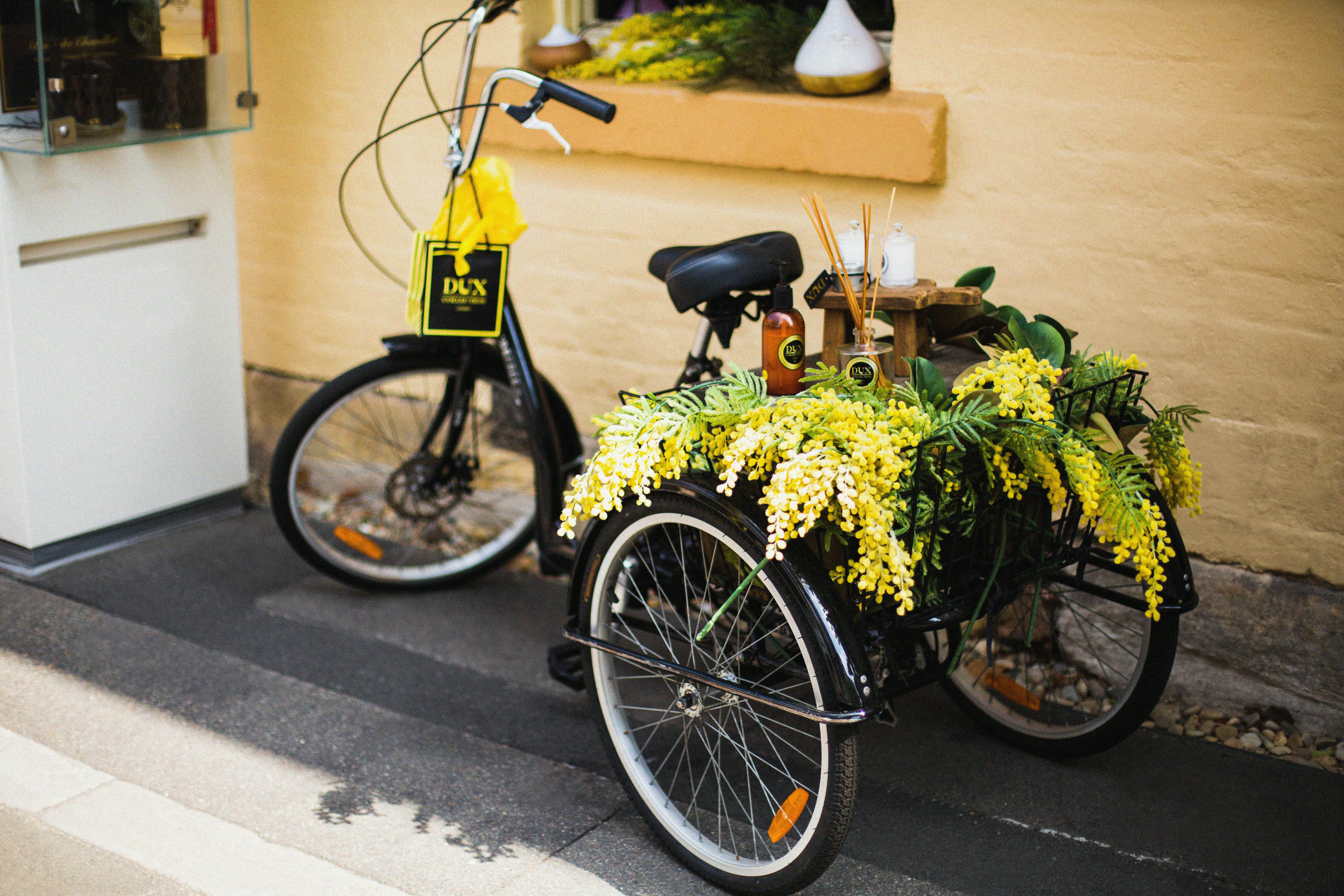 Tricycle with Flowers in Basket · Free Stock Photo