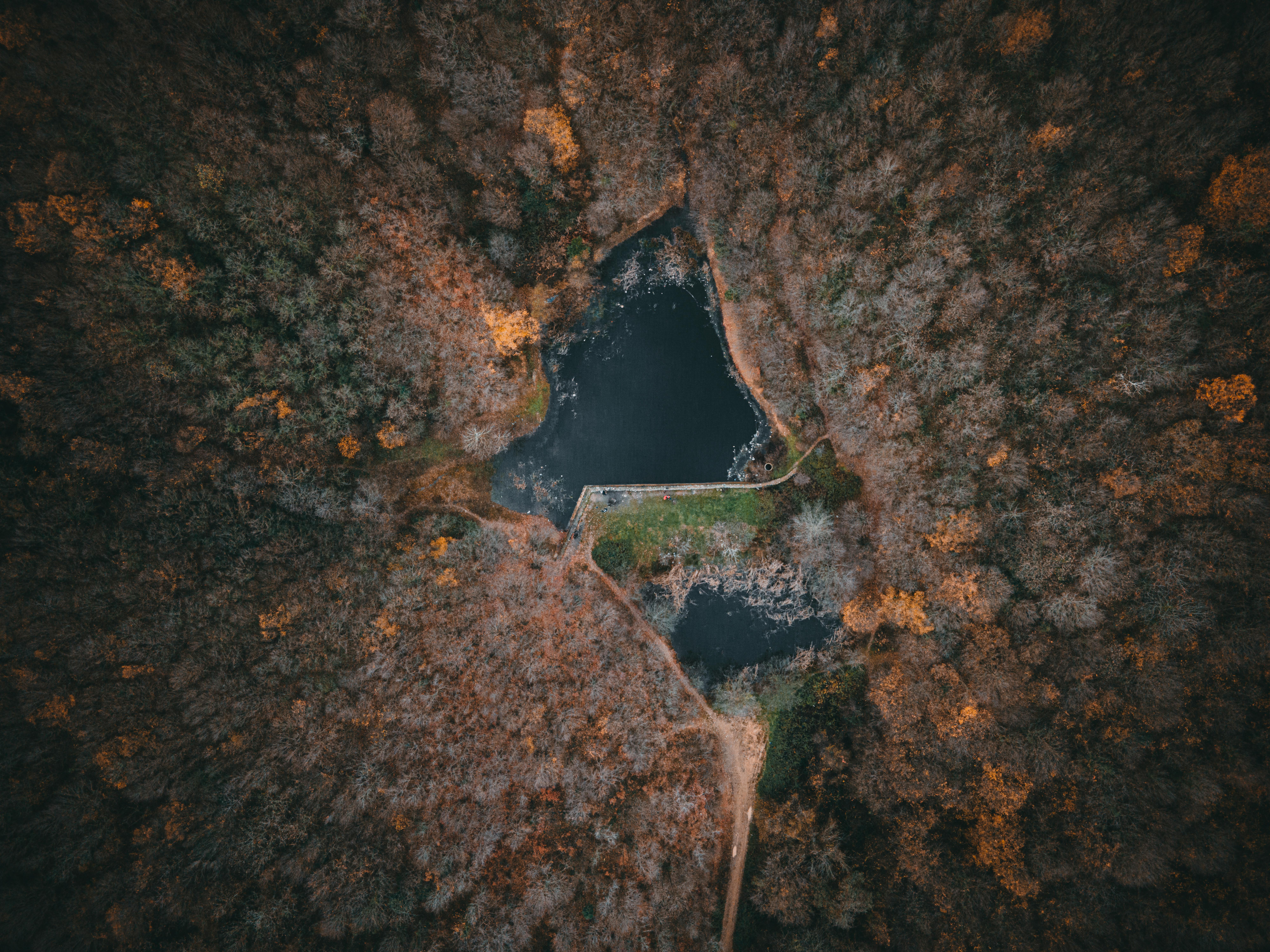 Lake Among Trees in Overhead View · Free Stock Photo