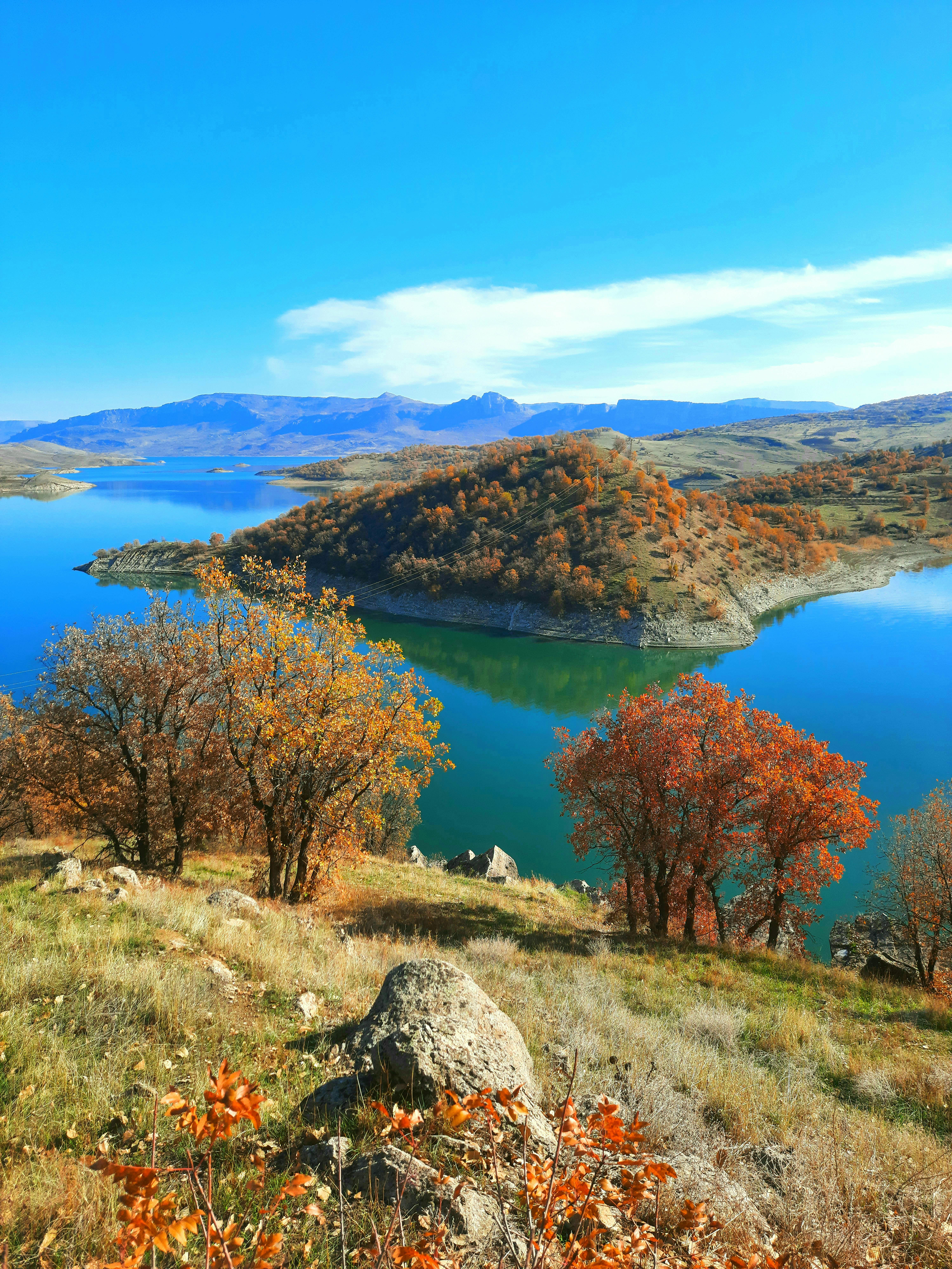 Islands in Water in Wild Nature Landscape · Free Stock Photo