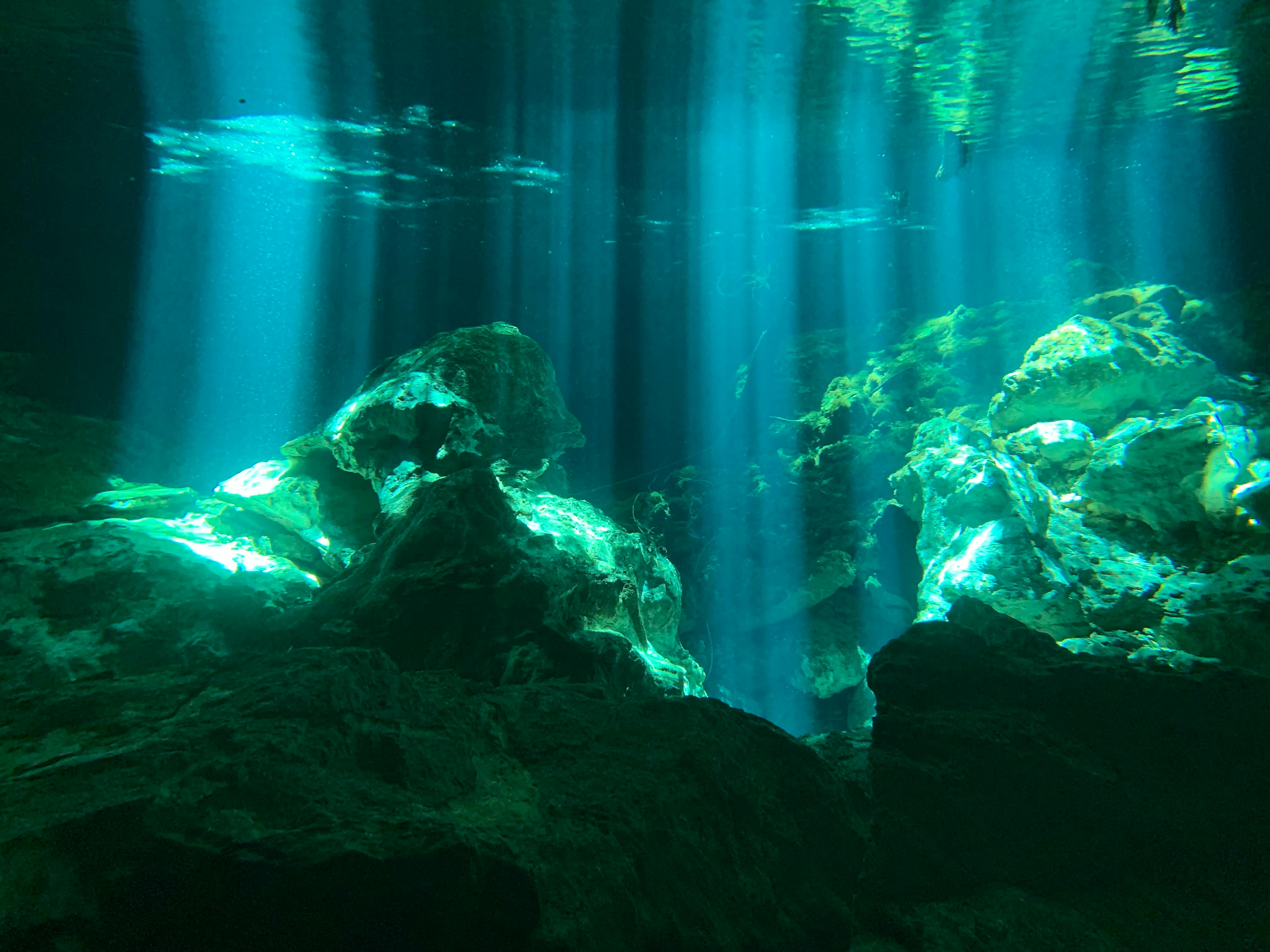 Underwater Lights Photos, Download The BEST Free Underwater Lights ...