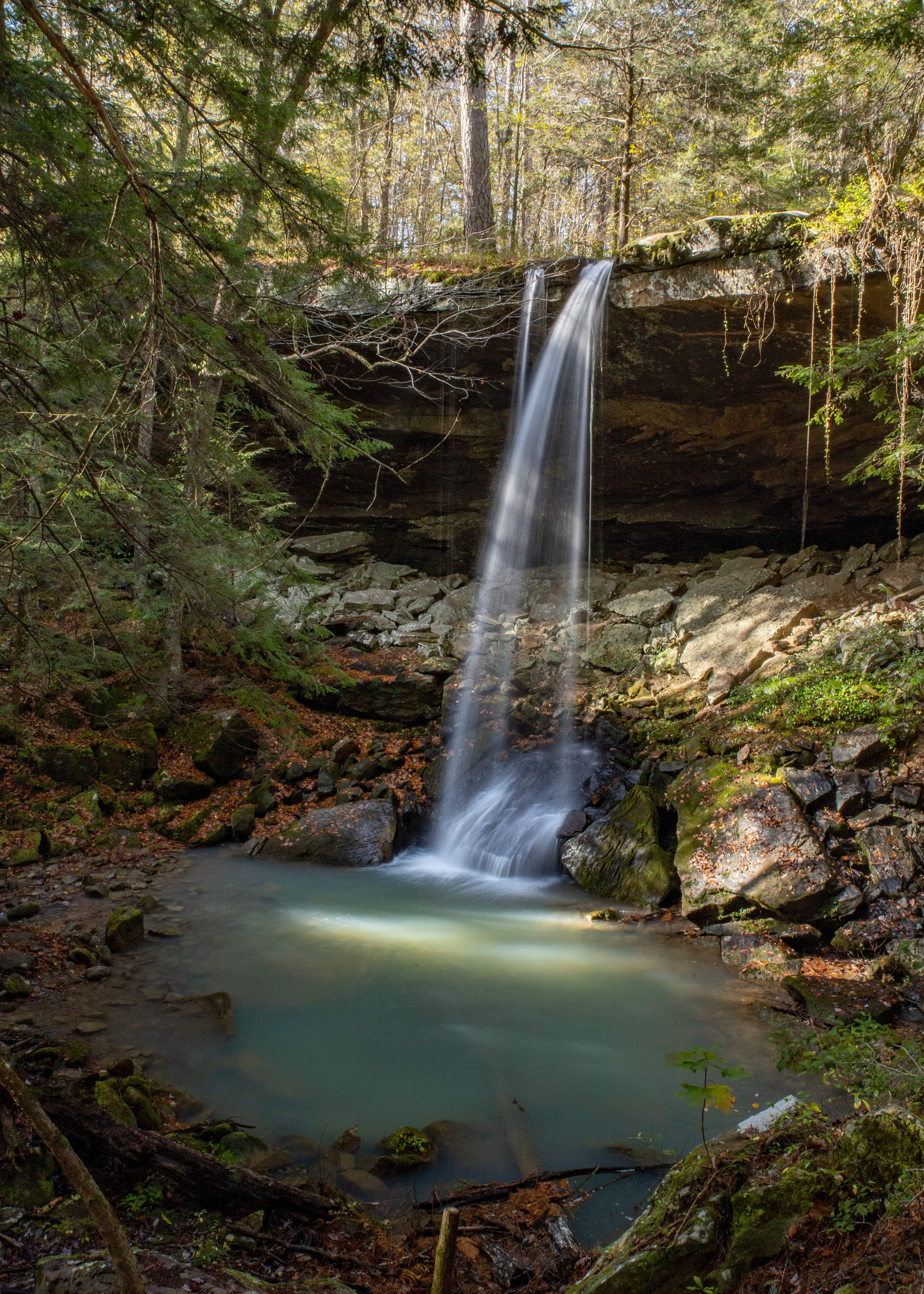 Waterfalls in the Forest · Free Stock Photo