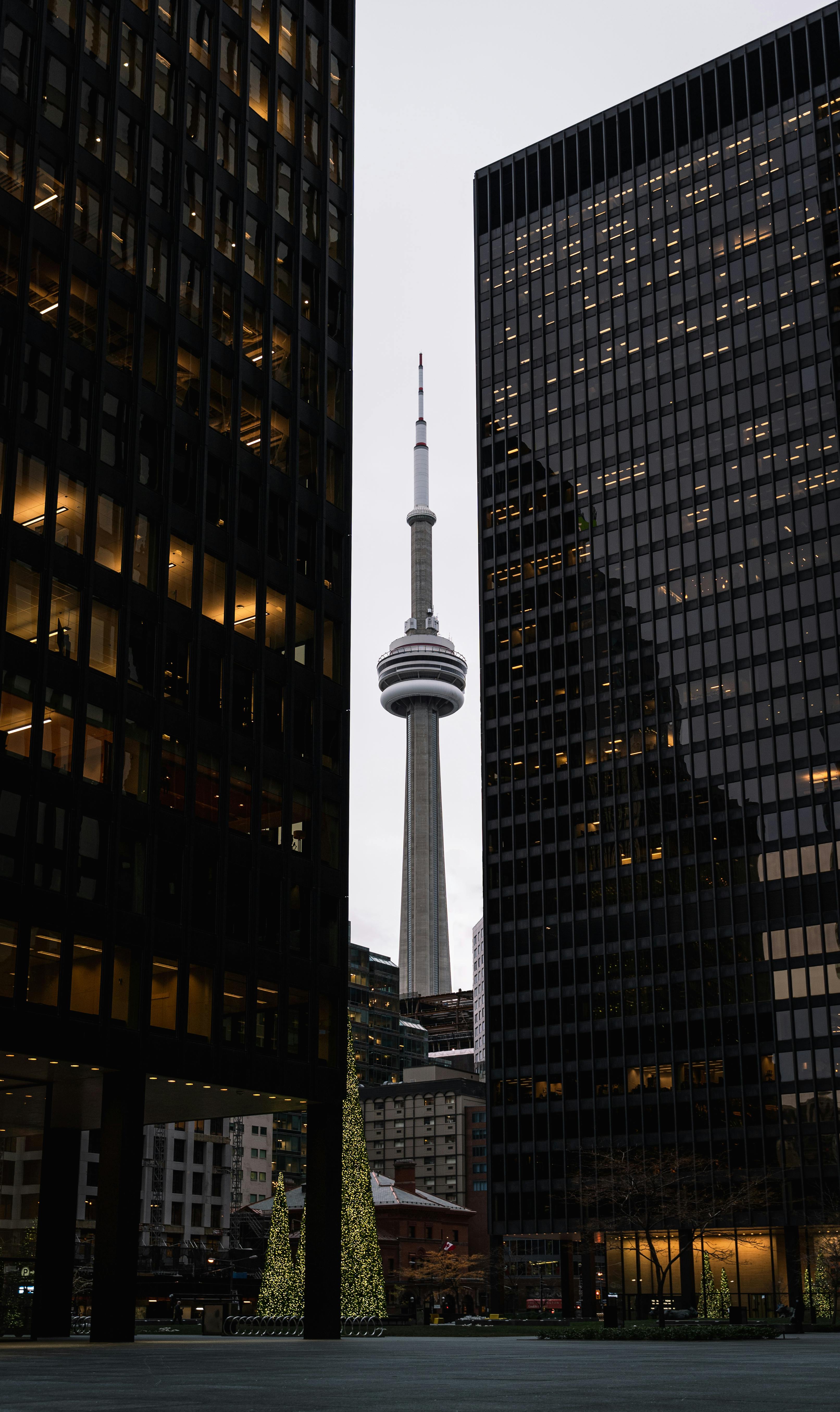 CN Tower between Buildings · Free Stock Photo