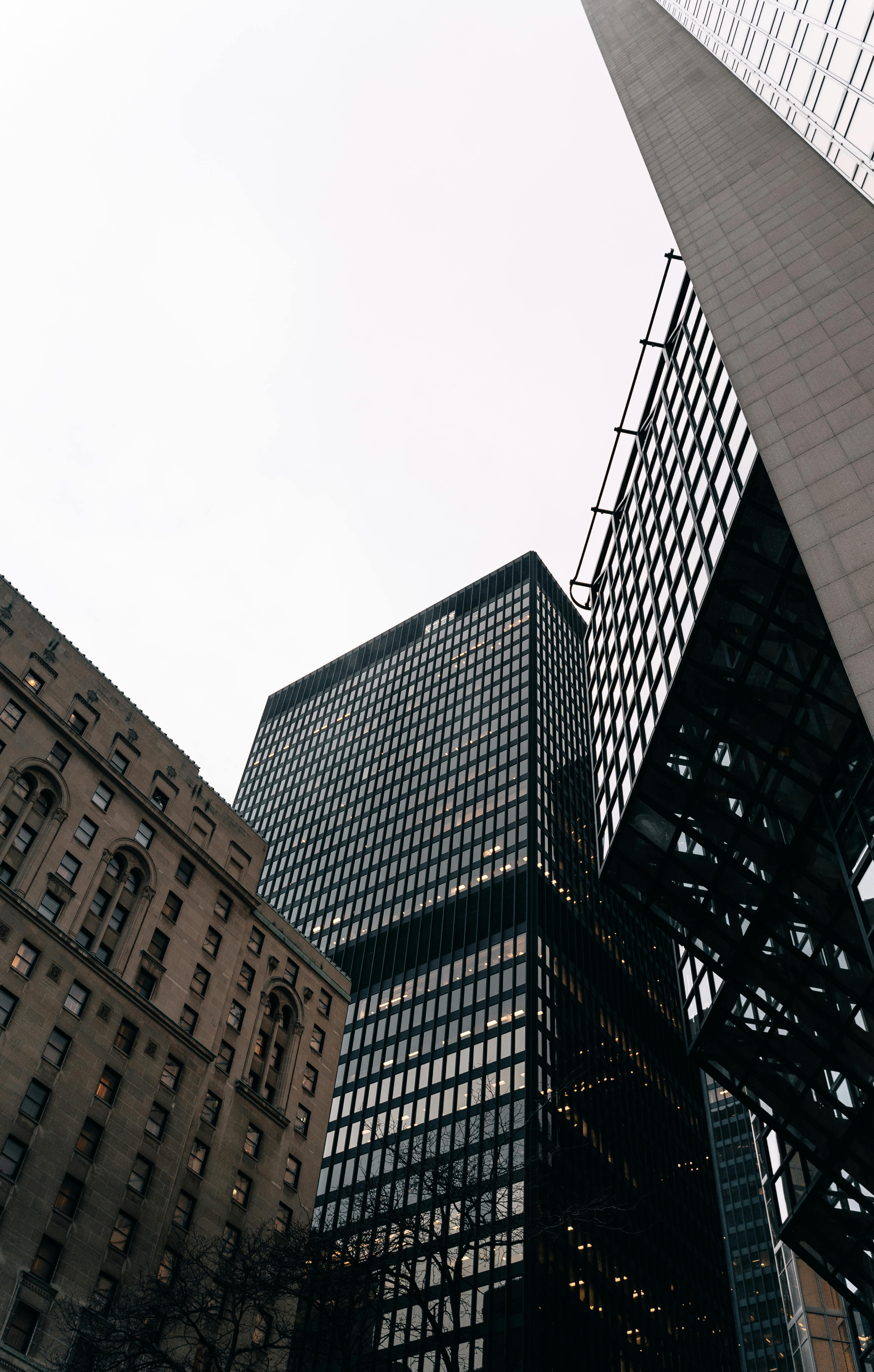 A Low Angle Shot of Skyscrapers in the City · Free Stock Photo