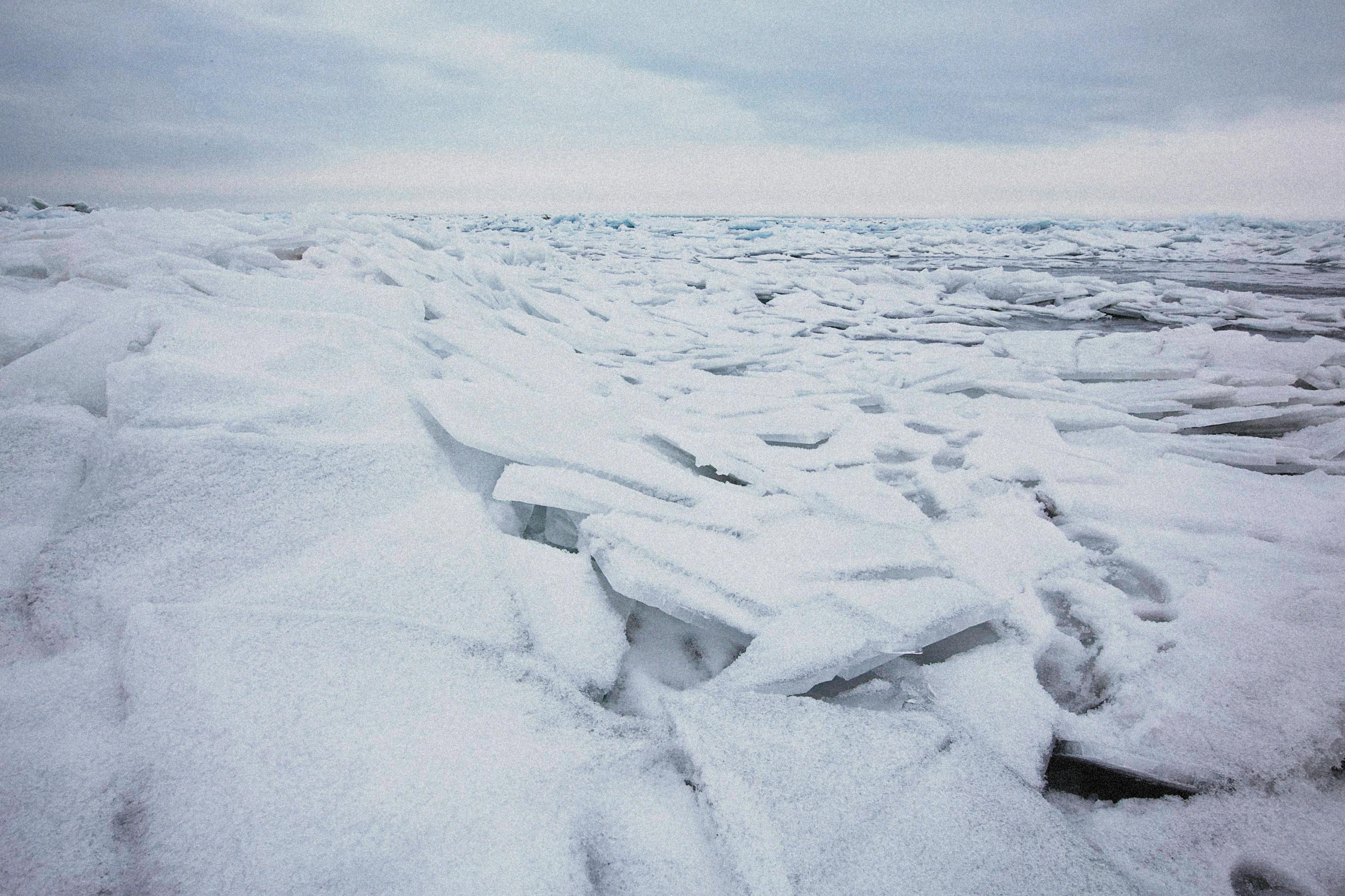 Shards Photos, Download The BEST Free Shards Stock Photos & HD Images