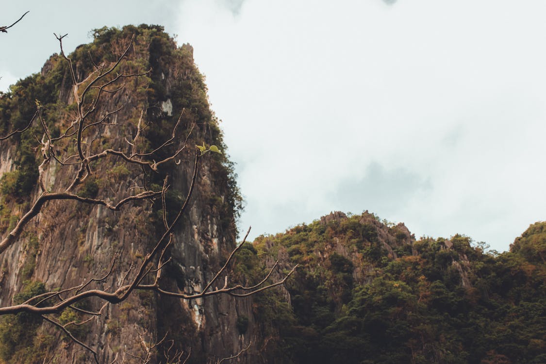 Brown Cliff Near Trees Under Cloudy Sky · Free Stock Photo Brown Cliff Near Trees Under Cloudy Sky · Free Stock Photo