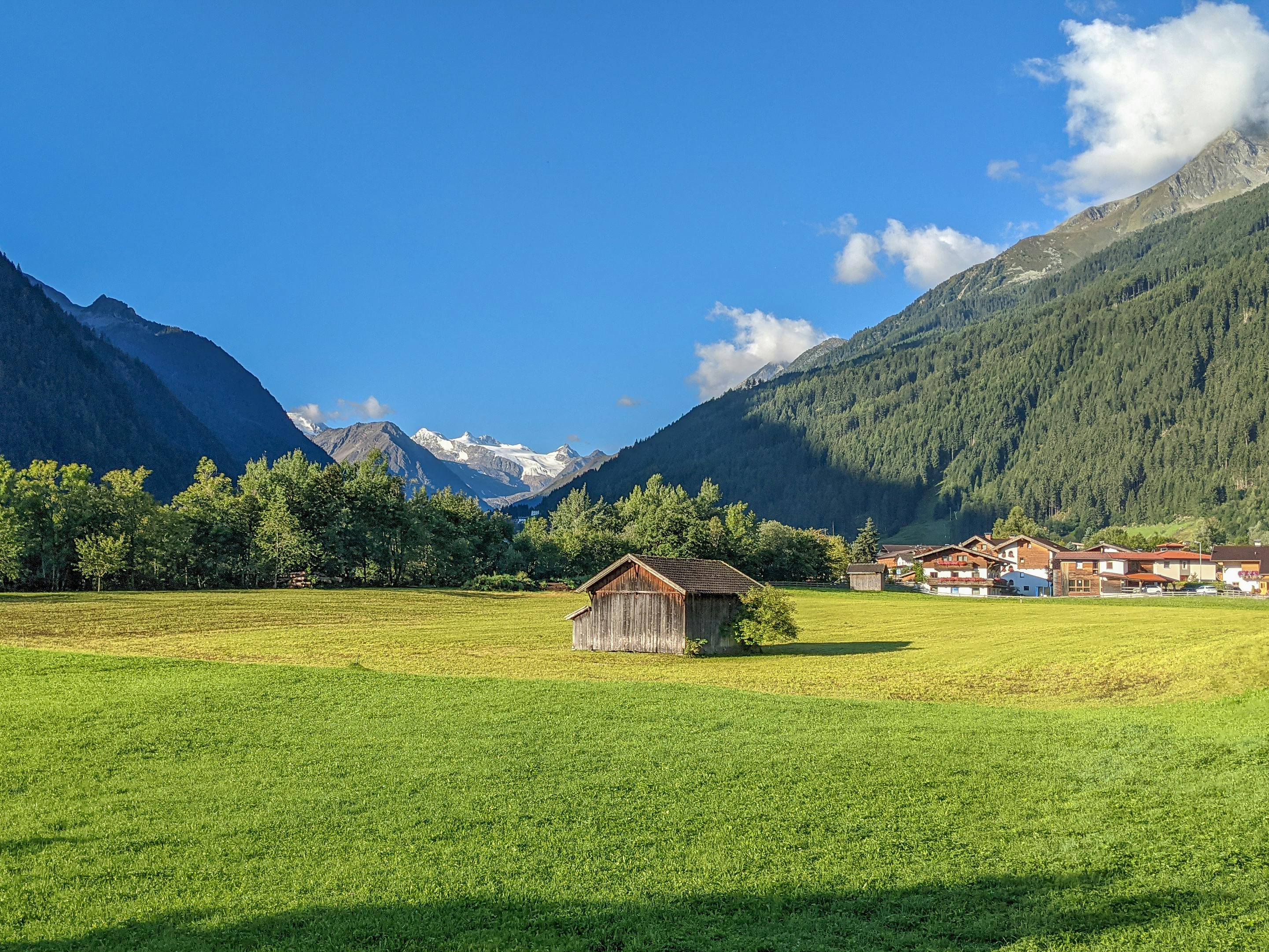 Green Grass Lawn · Free Stock Photo