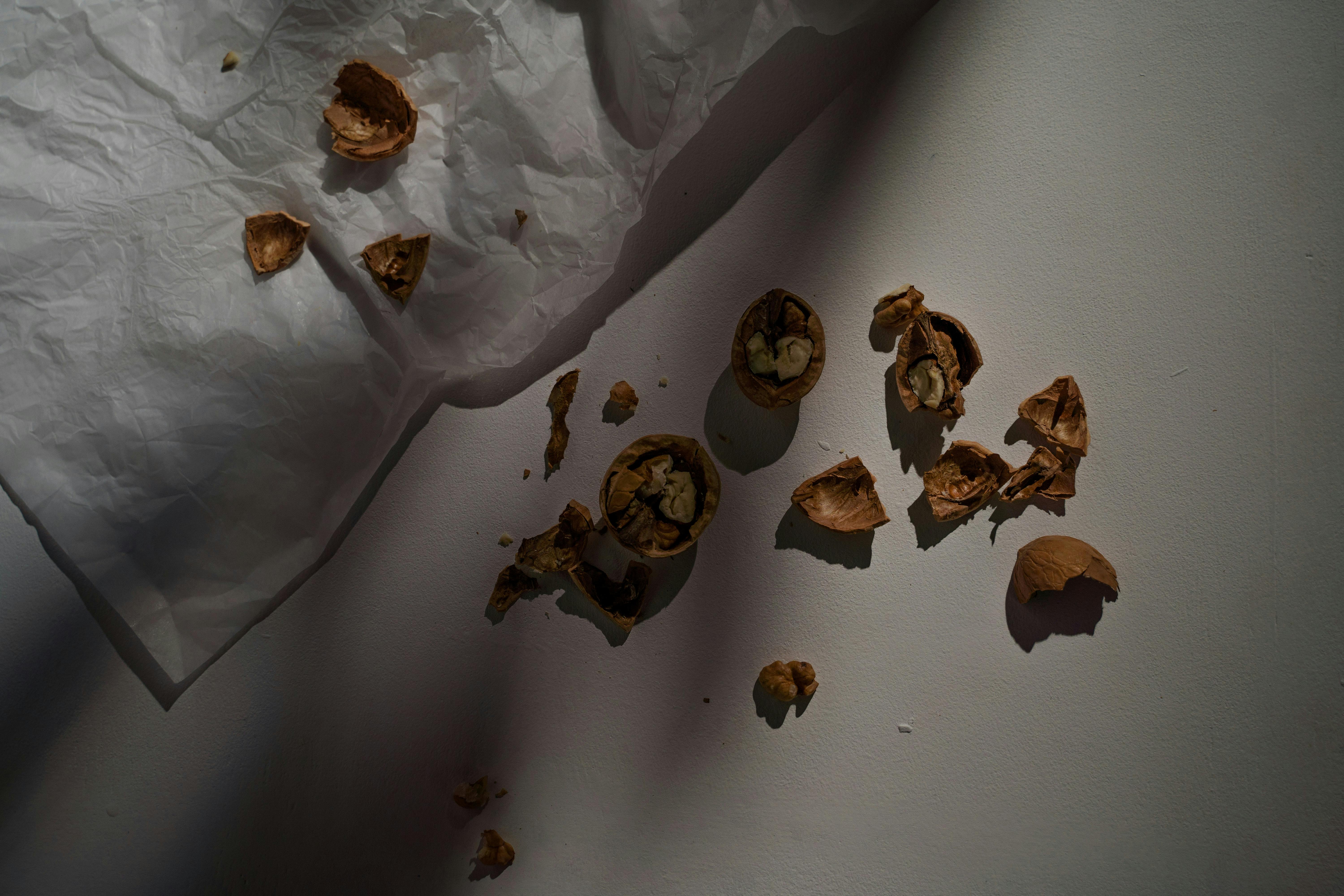 Broken Nuts on White Background · Free Stock Photo