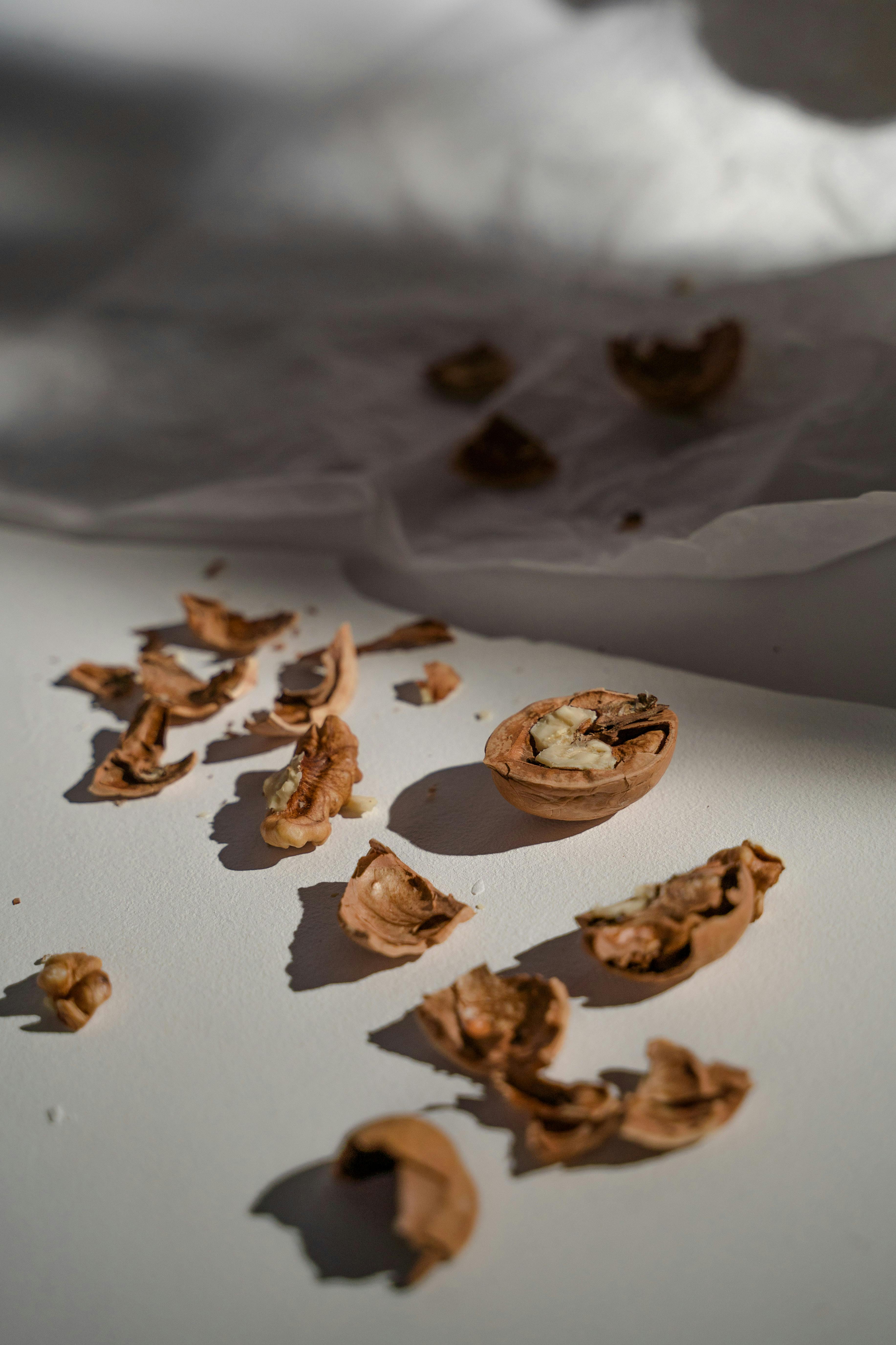 Close up on Broken Nuts · Free Stock Photo