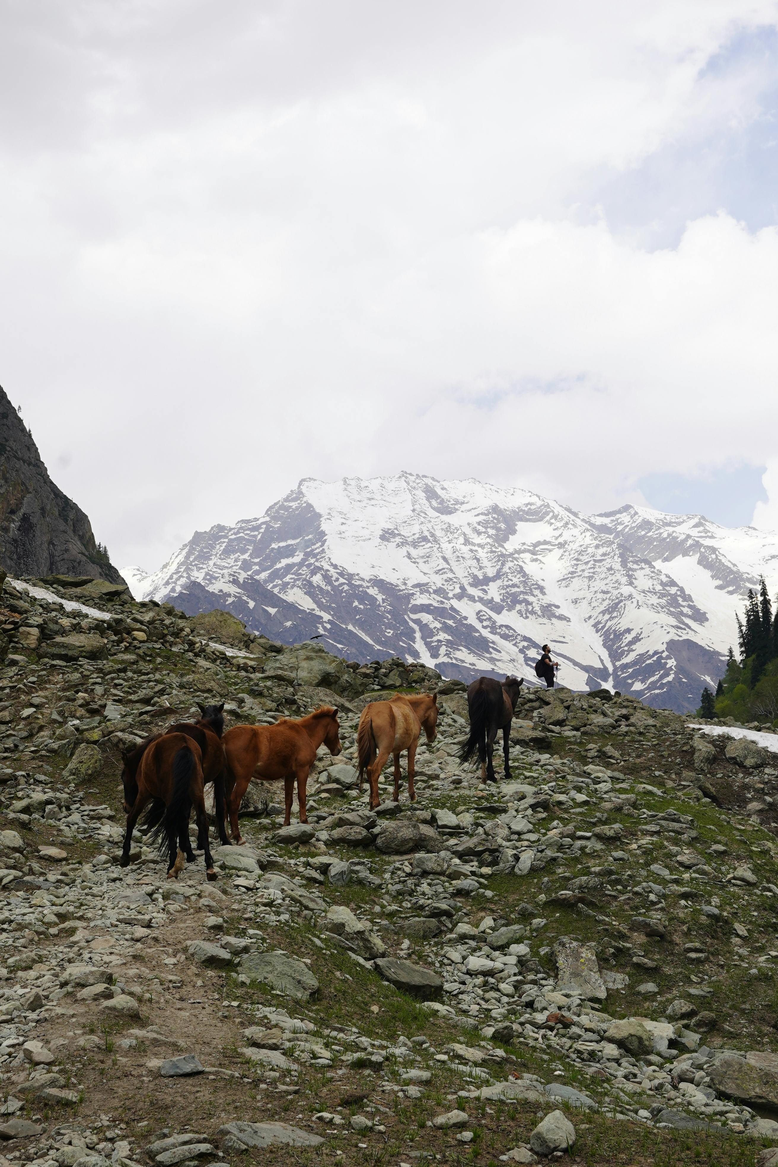 Aerial Footage of Mountain Ranges · Free Stock Photo