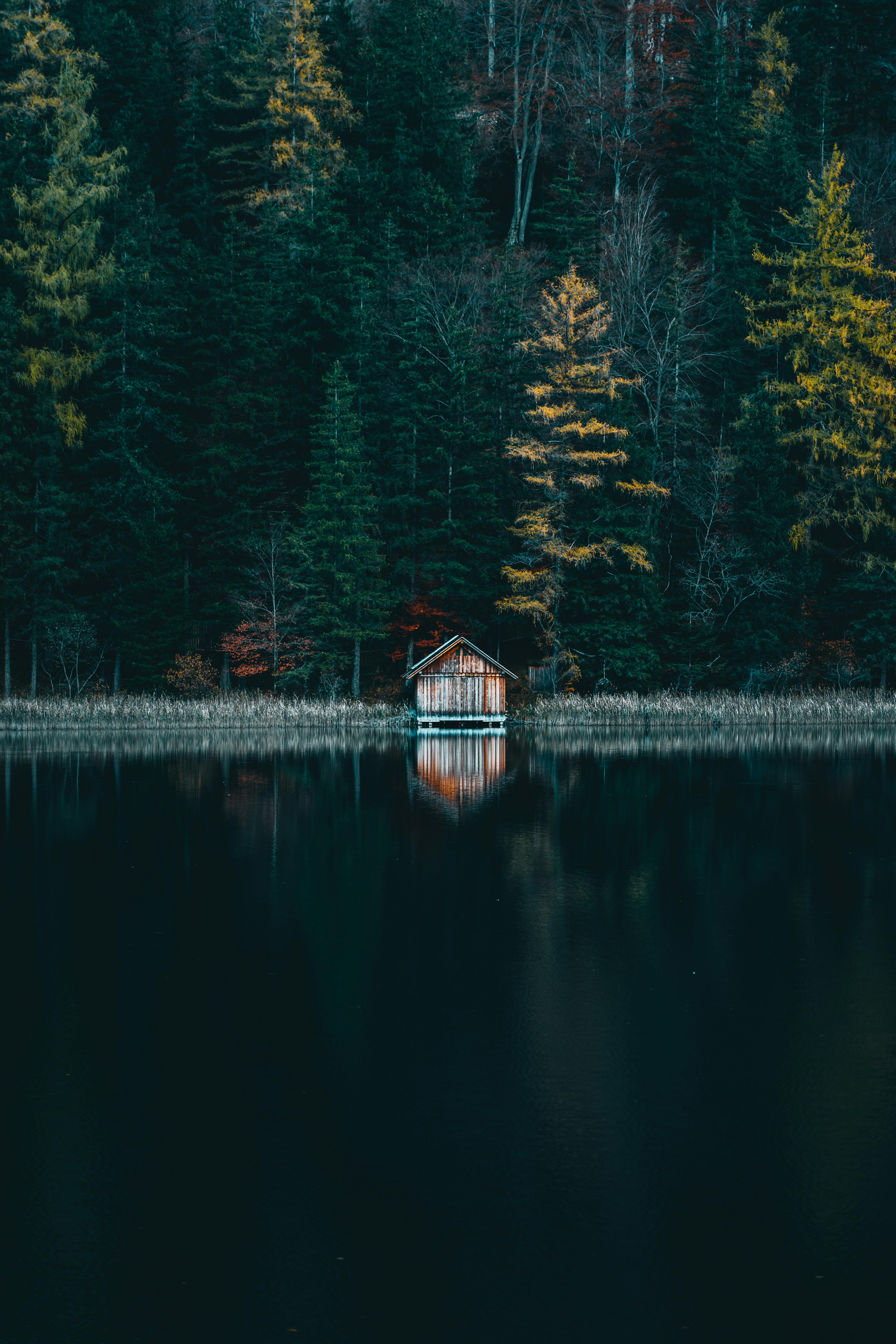 Wooden Cabin in Forest by Lake Shore · Free Stock Photo
